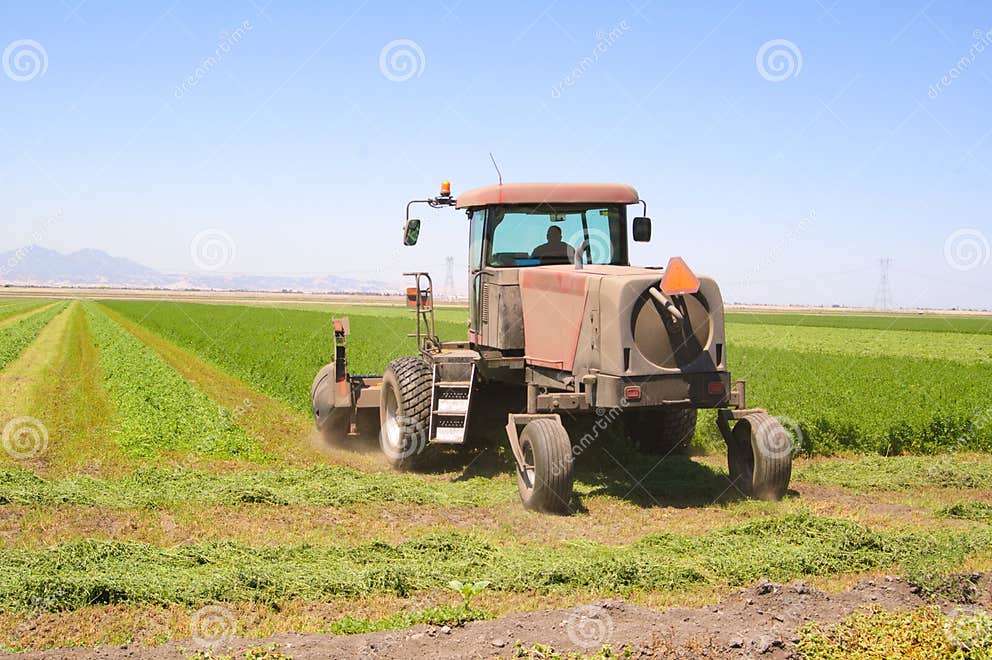 Harvesting alfalfa stock photo. Image of autumn, farm - 20745644