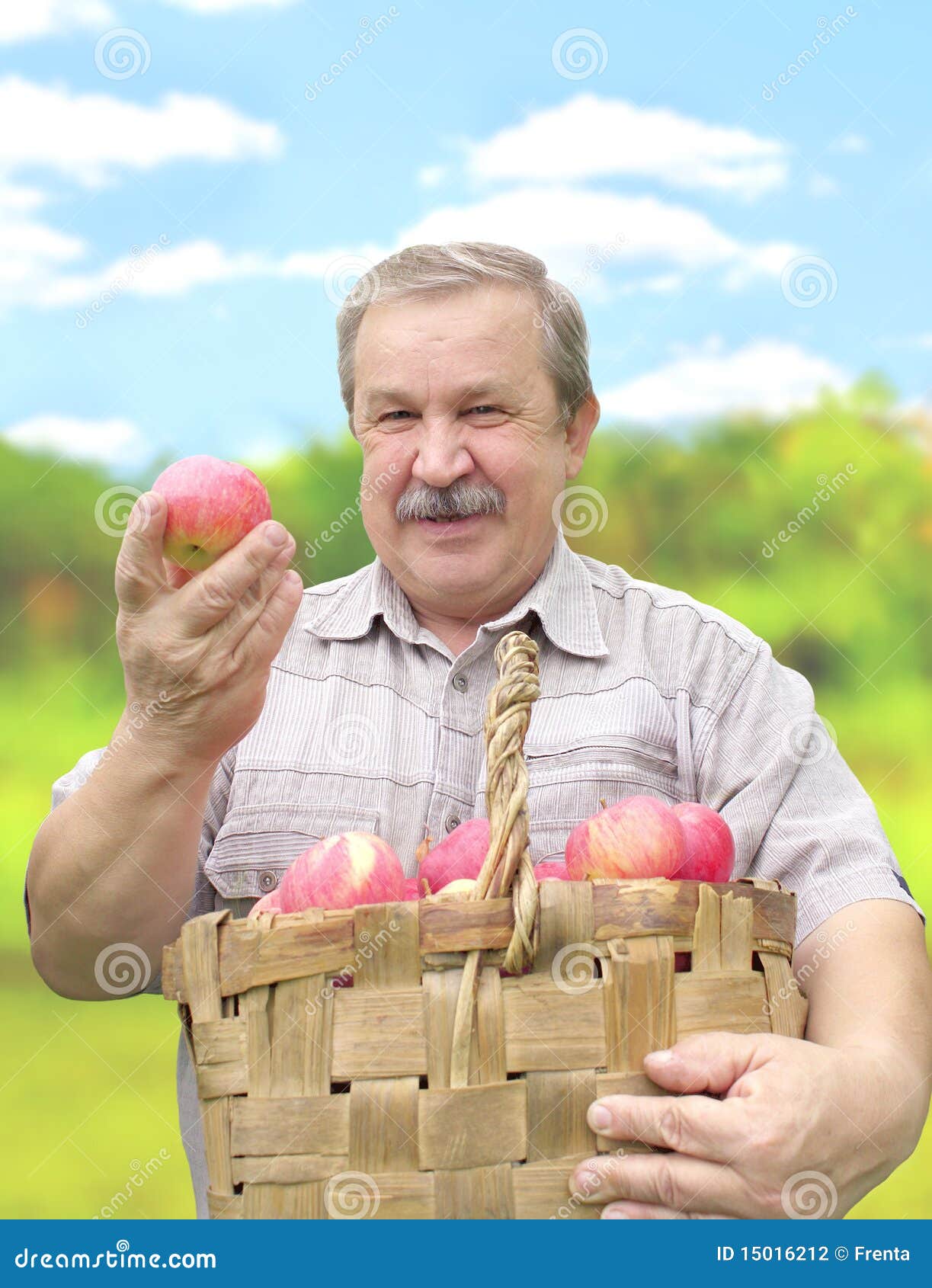 Harvesting a apple stock photo. Image of caucasian, healthy - 15016212