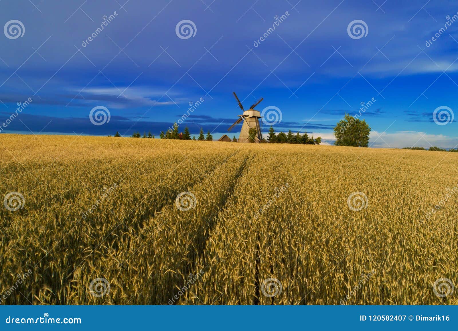 Harvesting Background. Old Windmill in Wheat Field Stock Image - Image ...