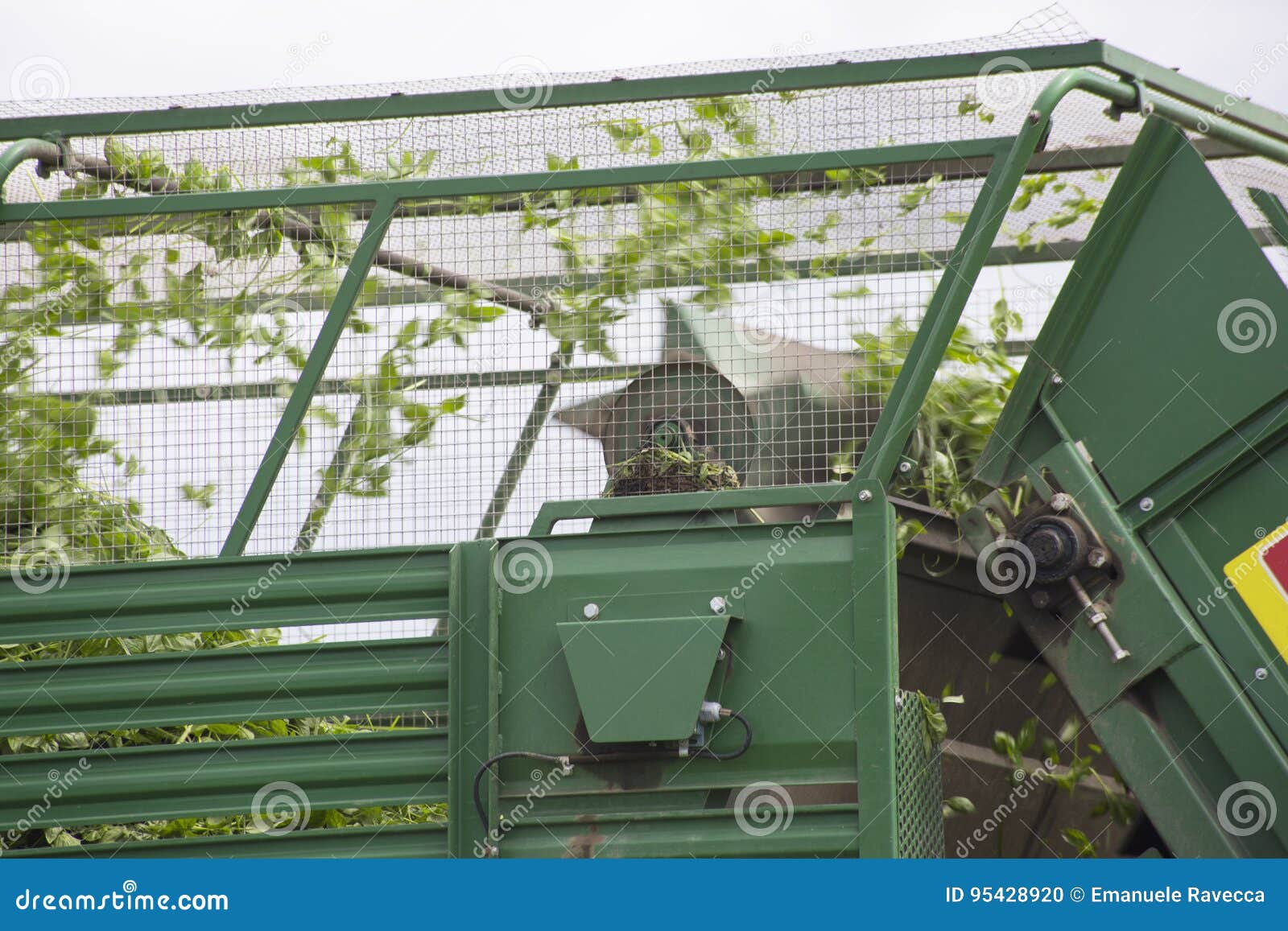 Harvesting of Basil by Machine Editorial Image - Image of agriculture ...