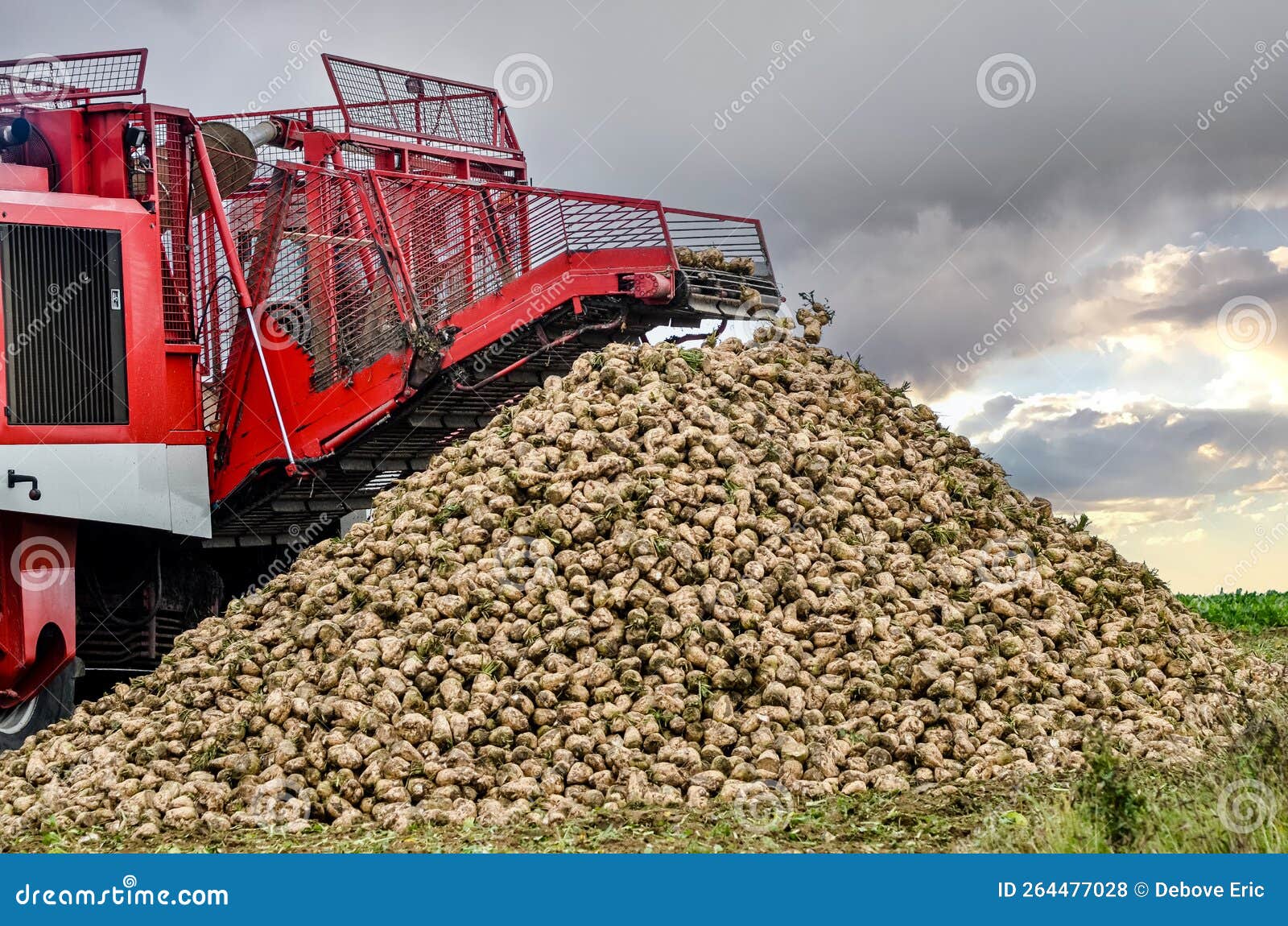 Beet Integral in Action in the Fields in Autumn Stock Photo - Image of ...