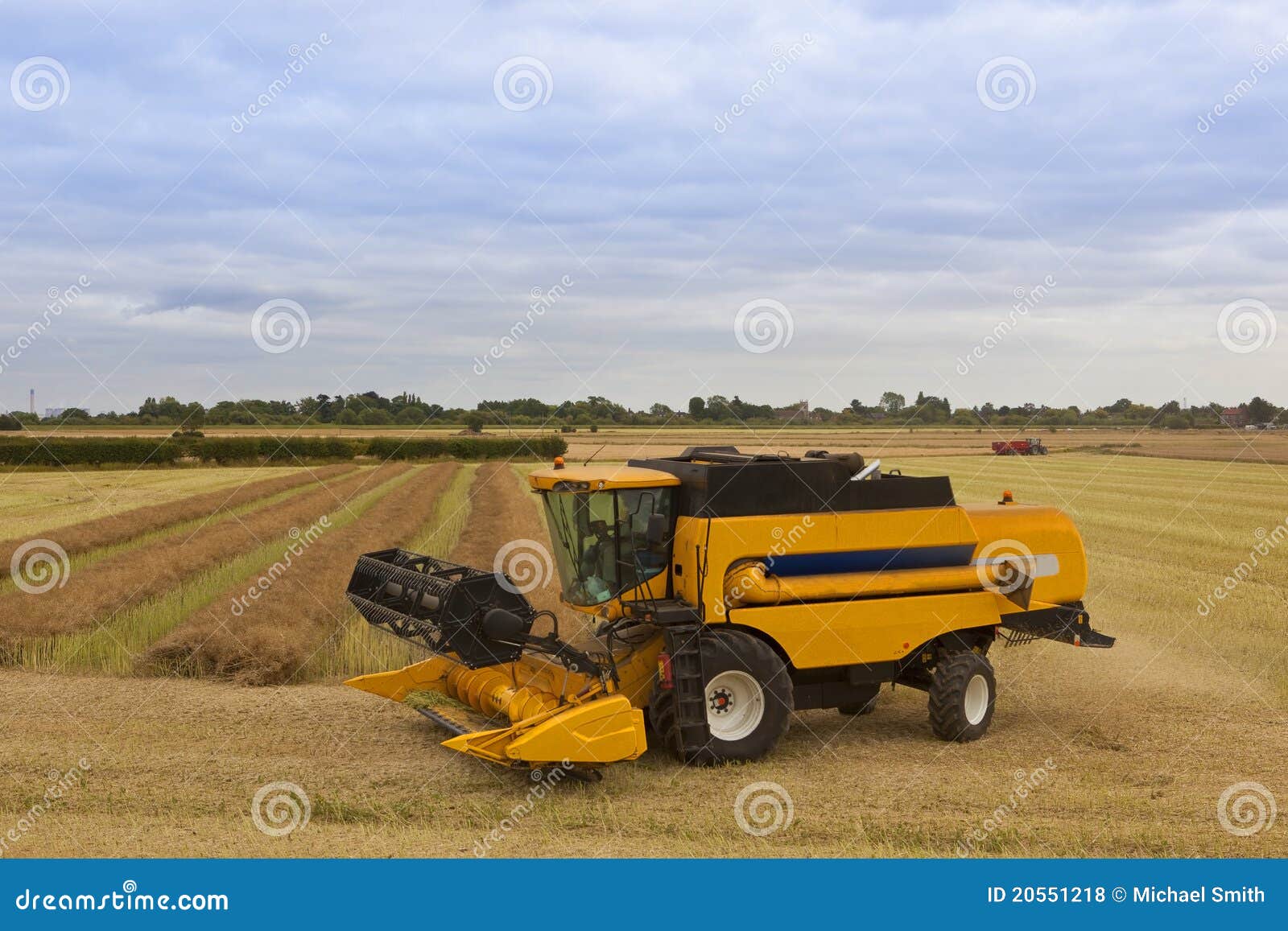Harvesting canola stock photo. Image of combine, cereals - 20551218