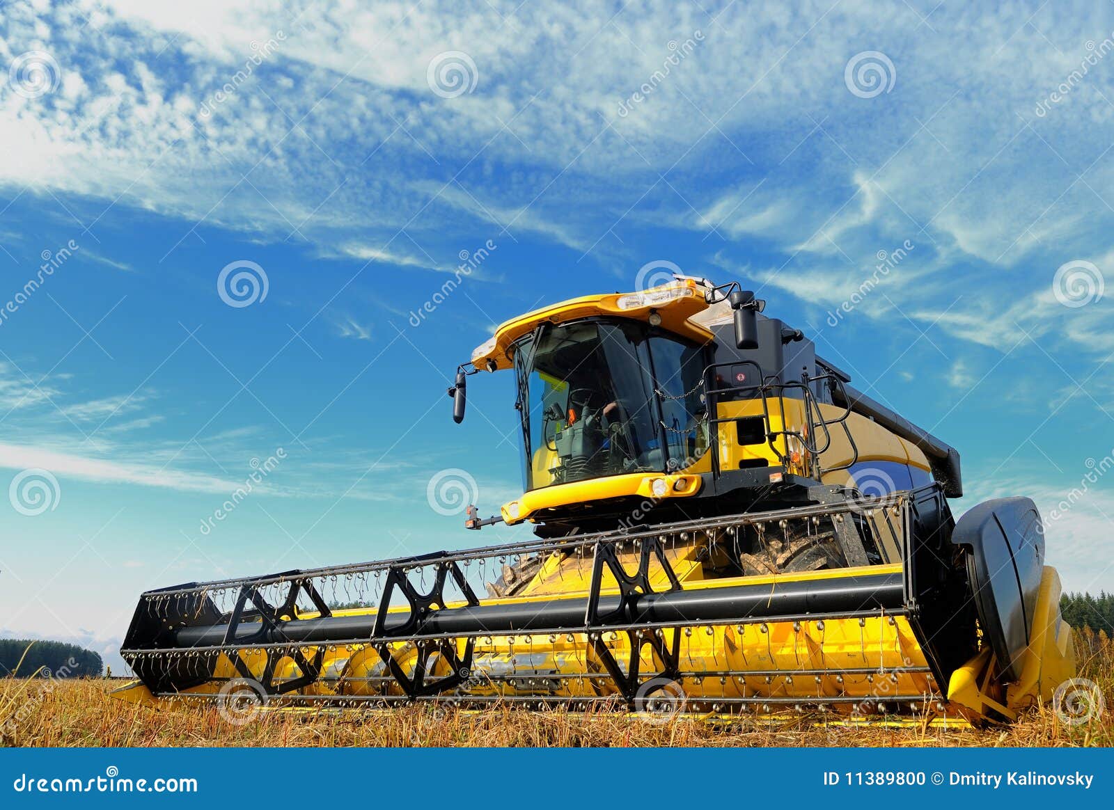 Harvesting Combine in the Field Stock Photo - Image of grain, machinery ...