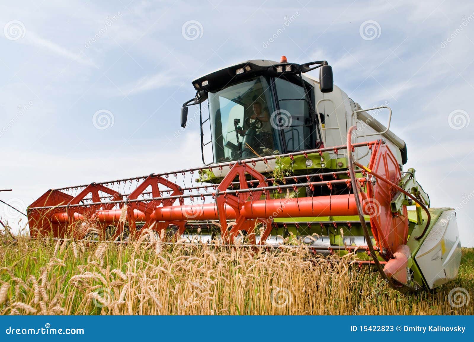 Harvesting Combine in the Wheat Stock Image - Image of harvesting, seed ...