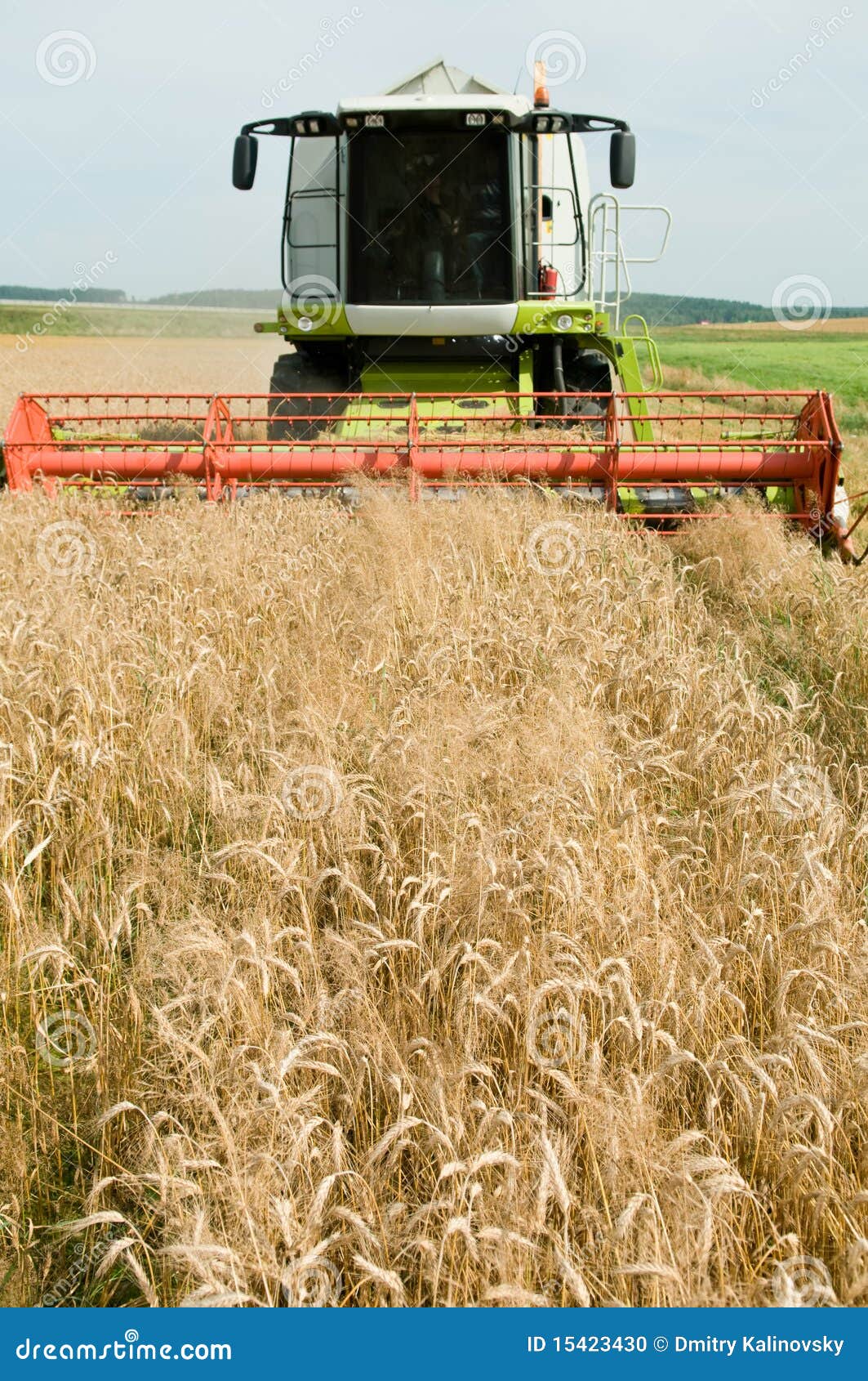 Harvesting Combine in the Wheat Stock Photo - Image of crop, rural ...