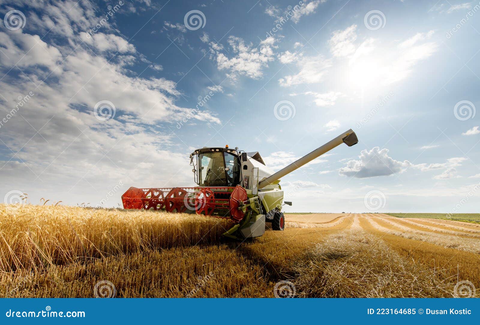 Harvesting Combine in the Wheat Stock Image - Image of bread ...