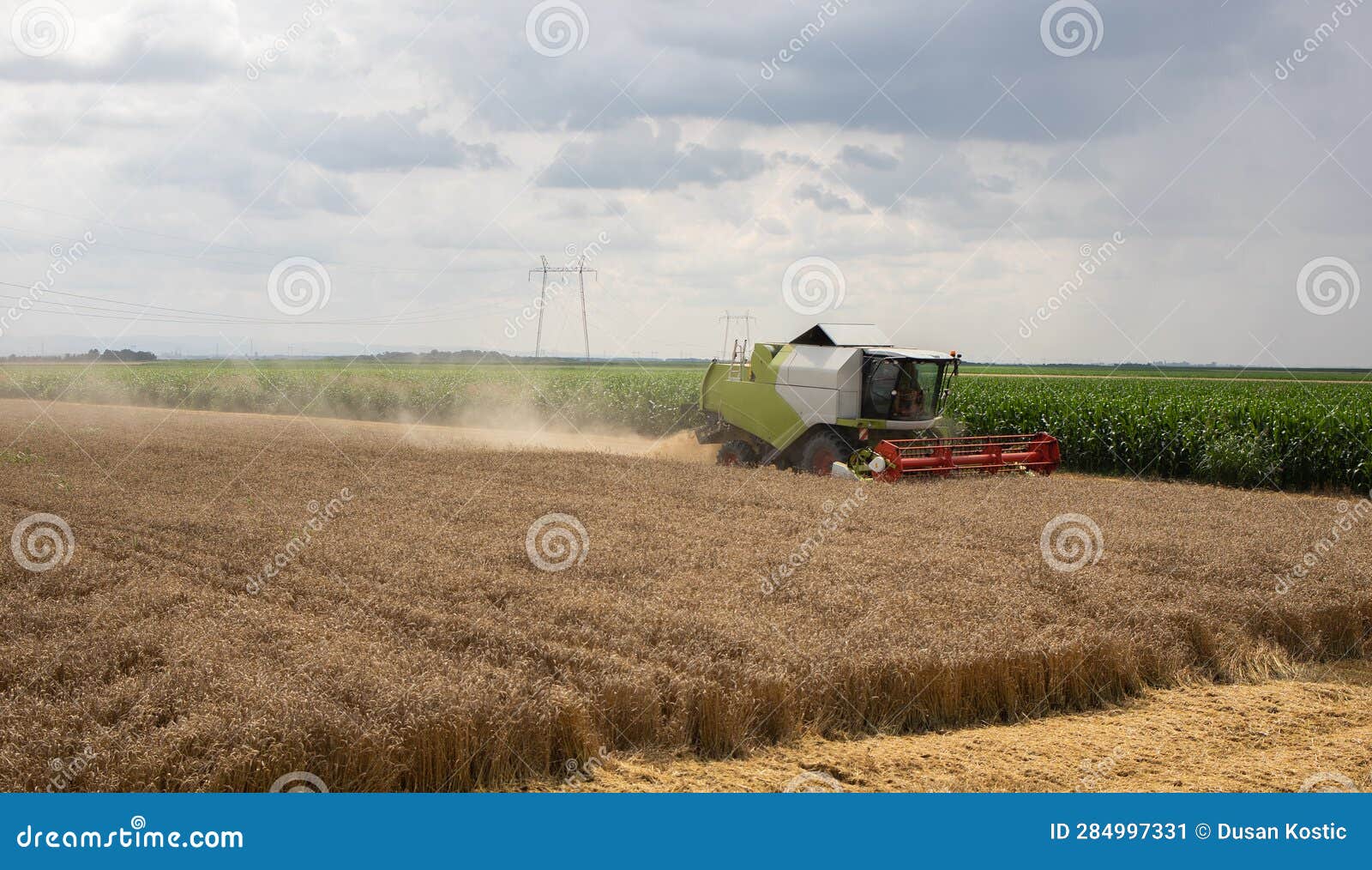 Harvesting Combine in the Wheat Stock Image - Image of construction ...
