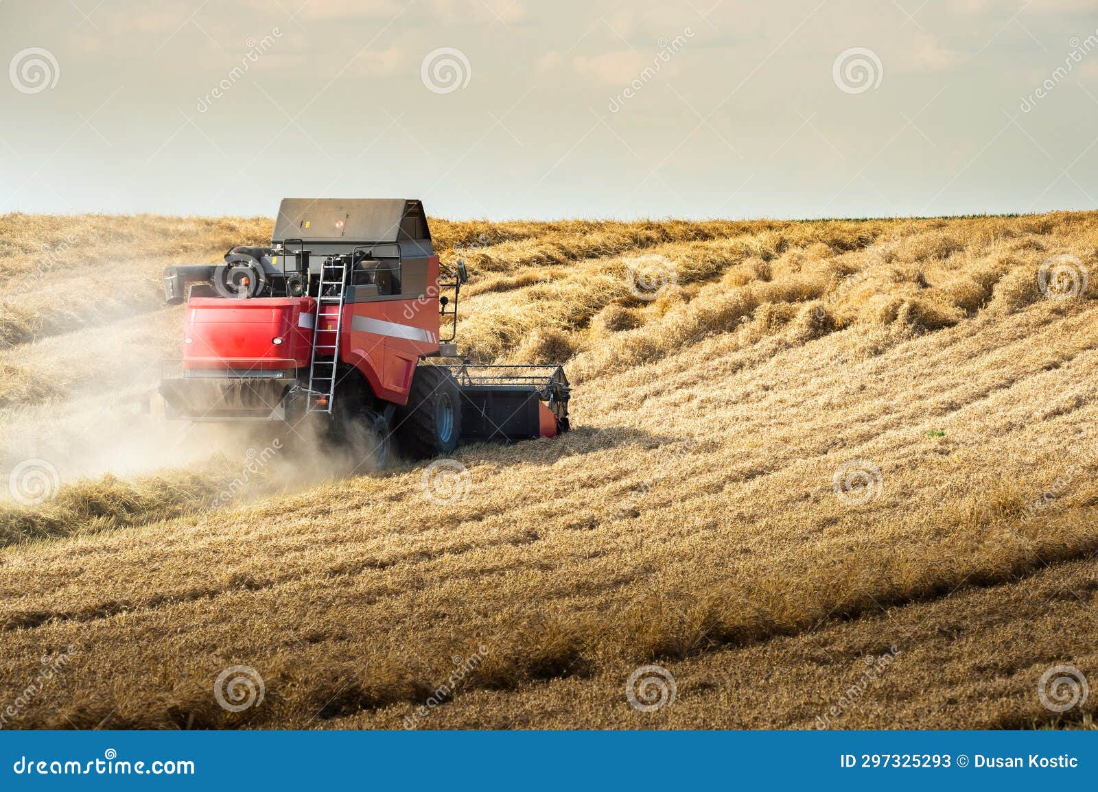 Harvesting Combine in the Wheat Stock Image - Image of industrial ...