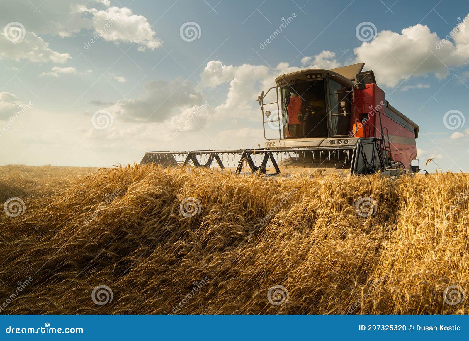 Harvesting Combine in the Wheat Stock Photo - Image of field, barley ...