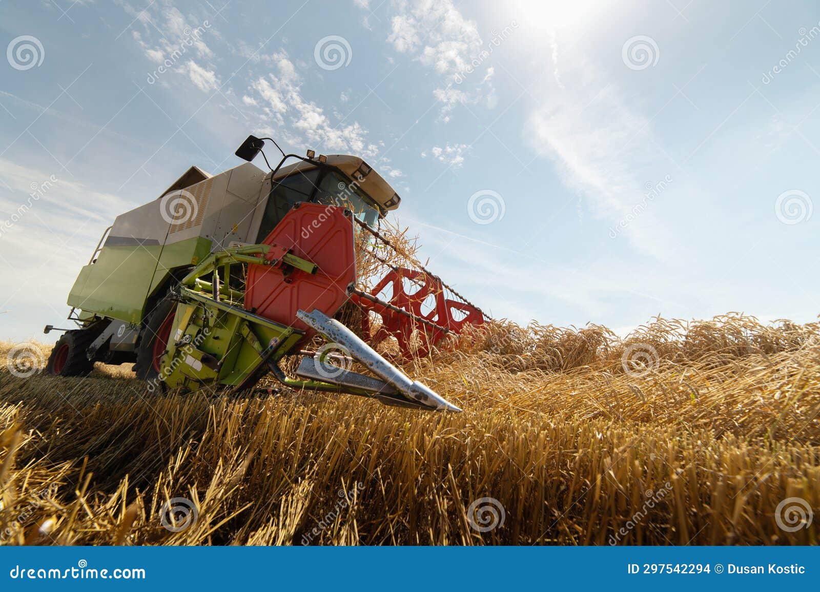 Harvesting Combine in the Wheat Stock Photo - Image of grain, wheat ...