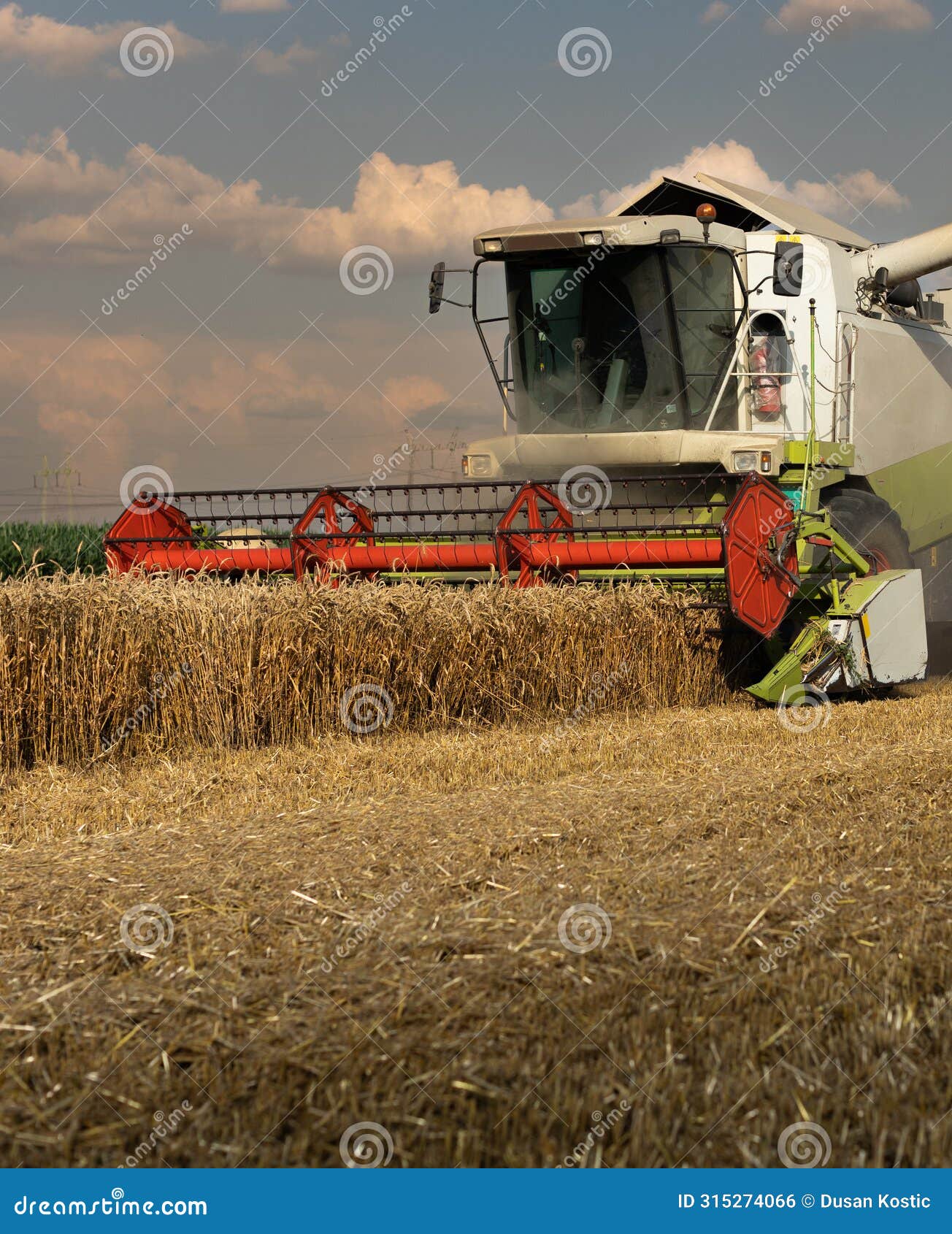 Harvesting Combine in the Wheat Stock Photo - Image of nature, combine ...