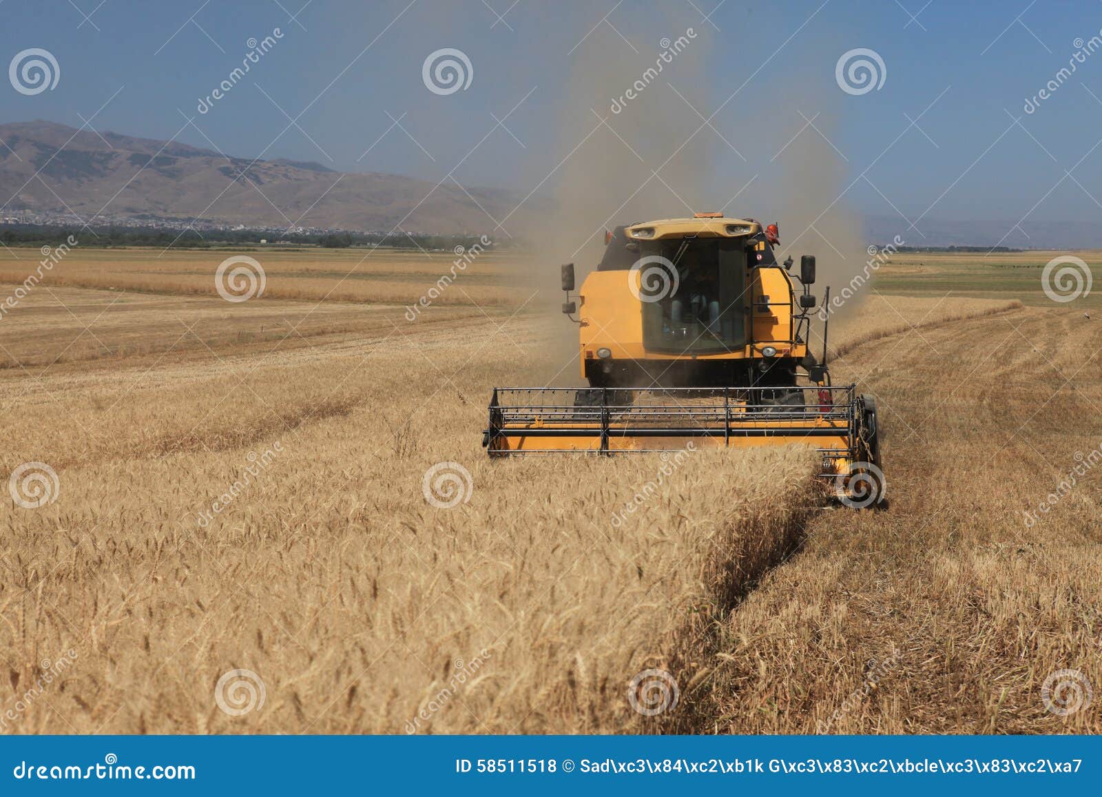 Harvesting Combine in the Wheat Stock Photo - Image of summer, rural ...