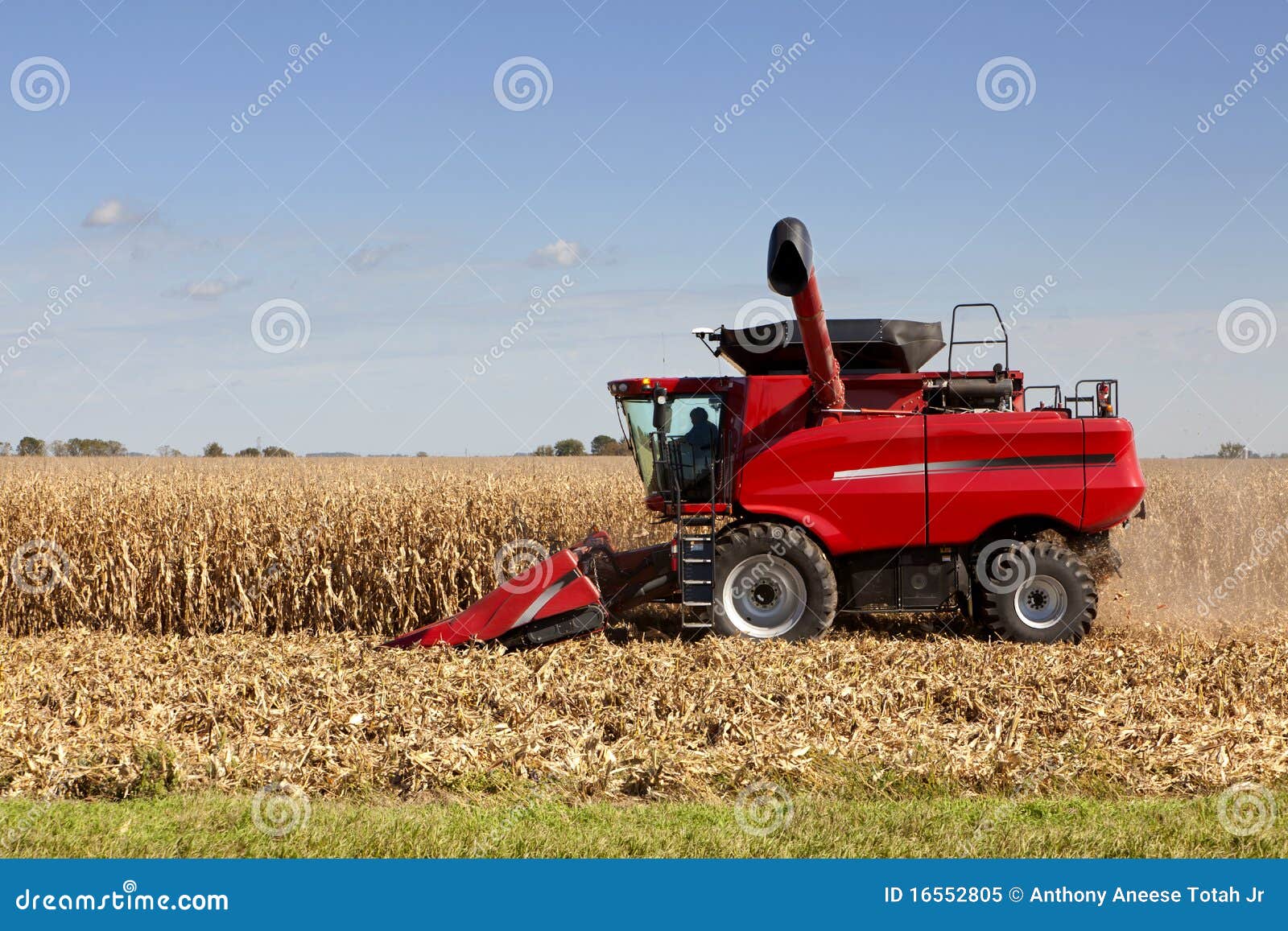 Harvesting corn stock image. Image of grain, farm, corn - 16552805