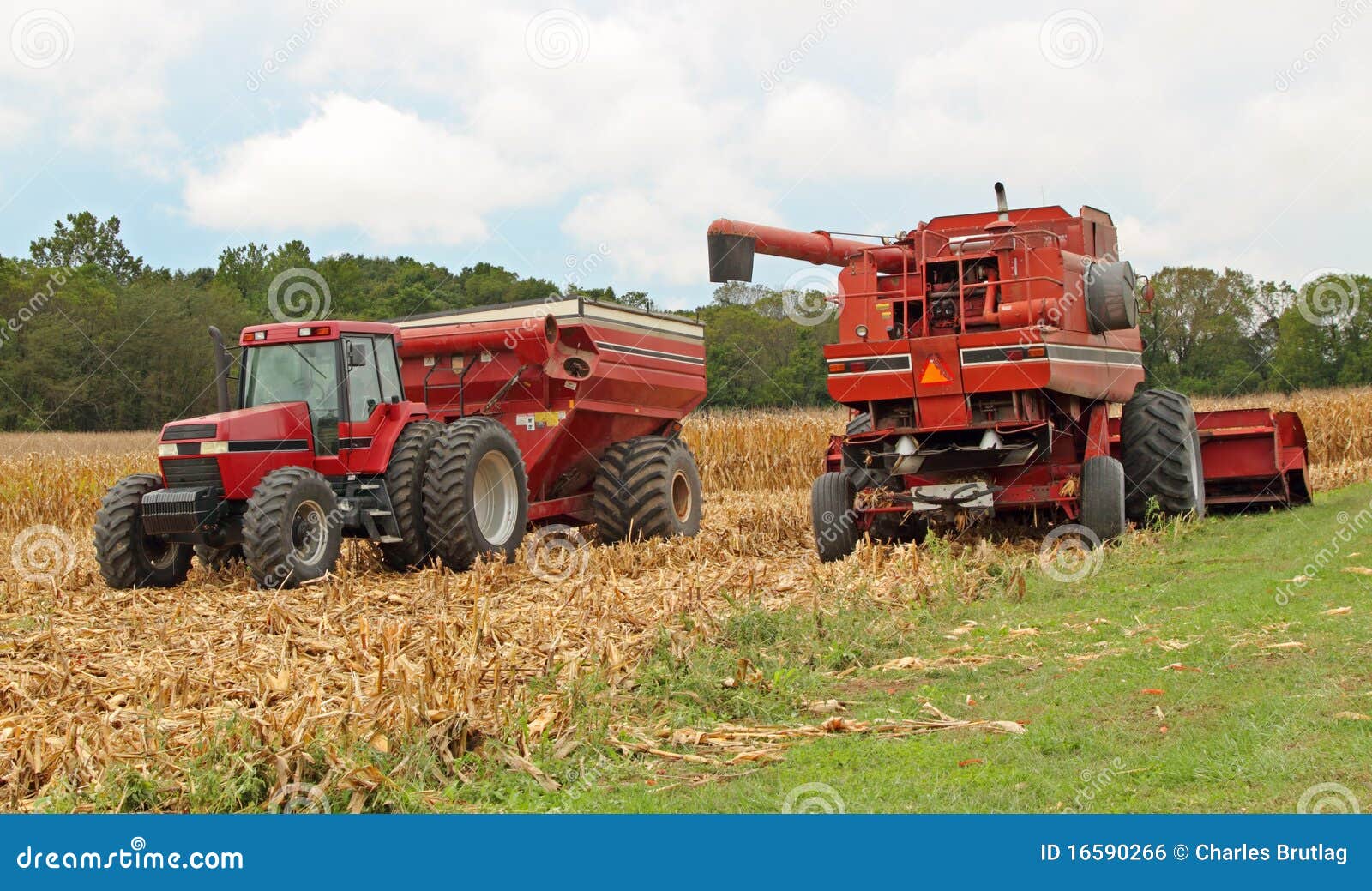 Old Man Harvesting Corn Royalty-Free Stock Photography | CartoonDealer ...