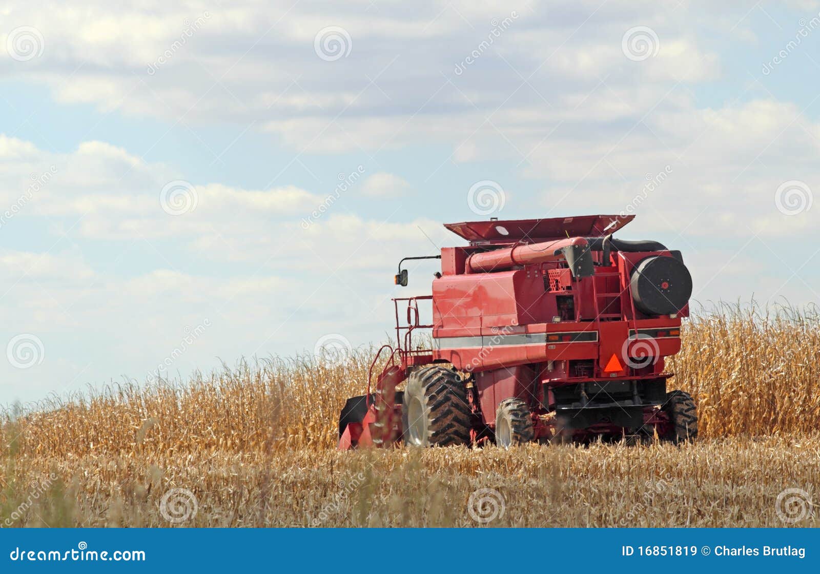 Harvesting Corn stock image. Image of picking, agricultural - 16851819