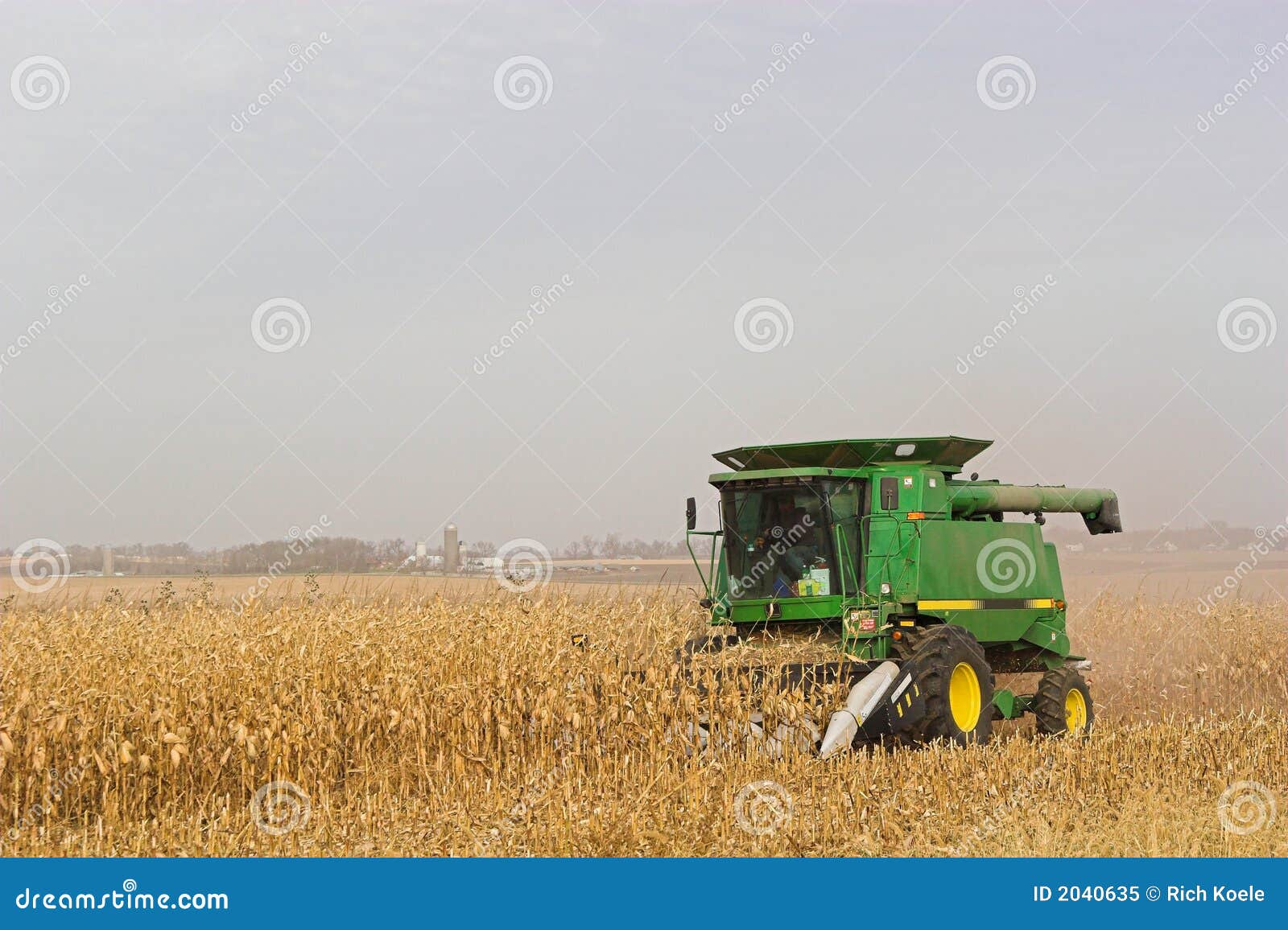 Harvesting Corn editorial image. Image of harvesting, farming - 2040635