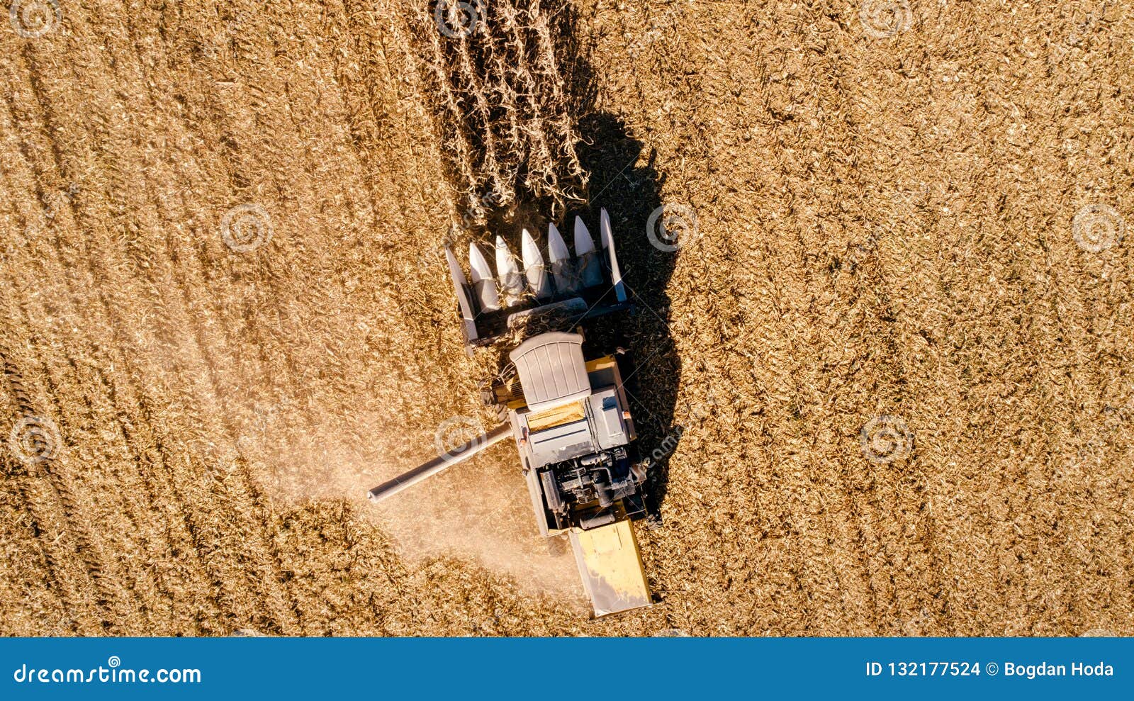 Harvesting Corn Aerial Details. Farmer Using Combine and Machinery ...