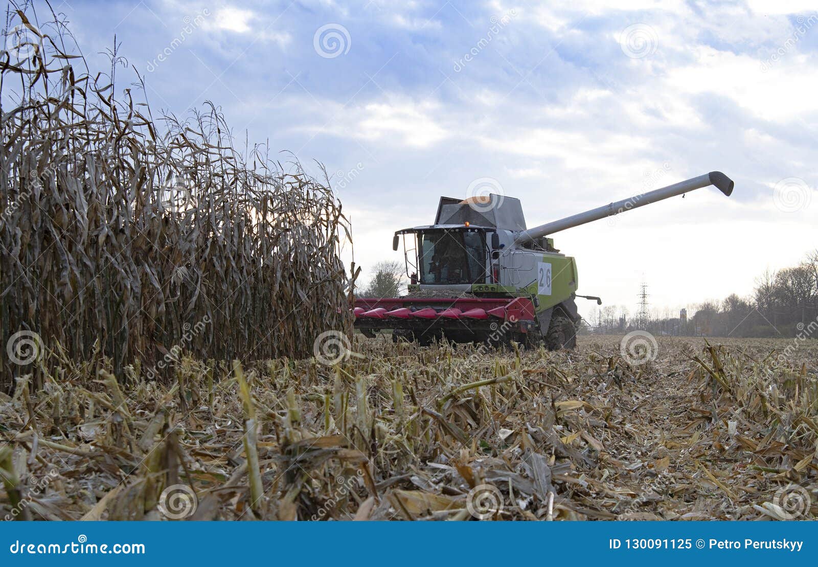 Harvesting of corn stock image. Image of equipment, seed - 130091125