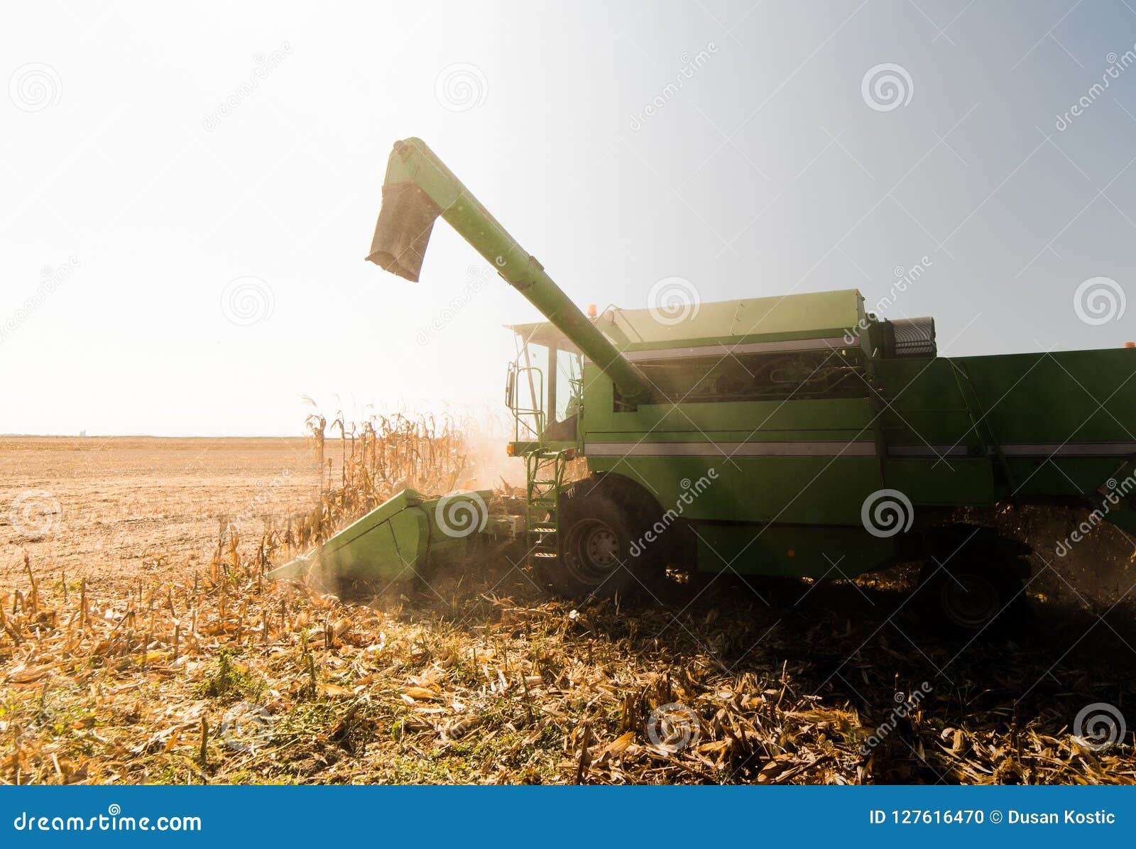 Harvesting of Corn Field with Combine Stock Photo - Image of mature ...