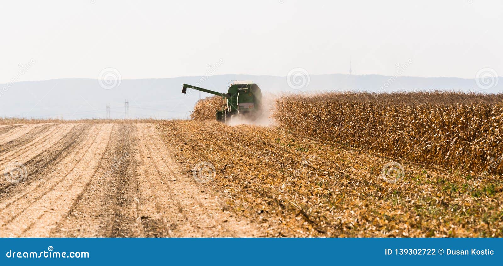 Harvesting of Corn Field with Combine Stock Photo - Image of crop ...