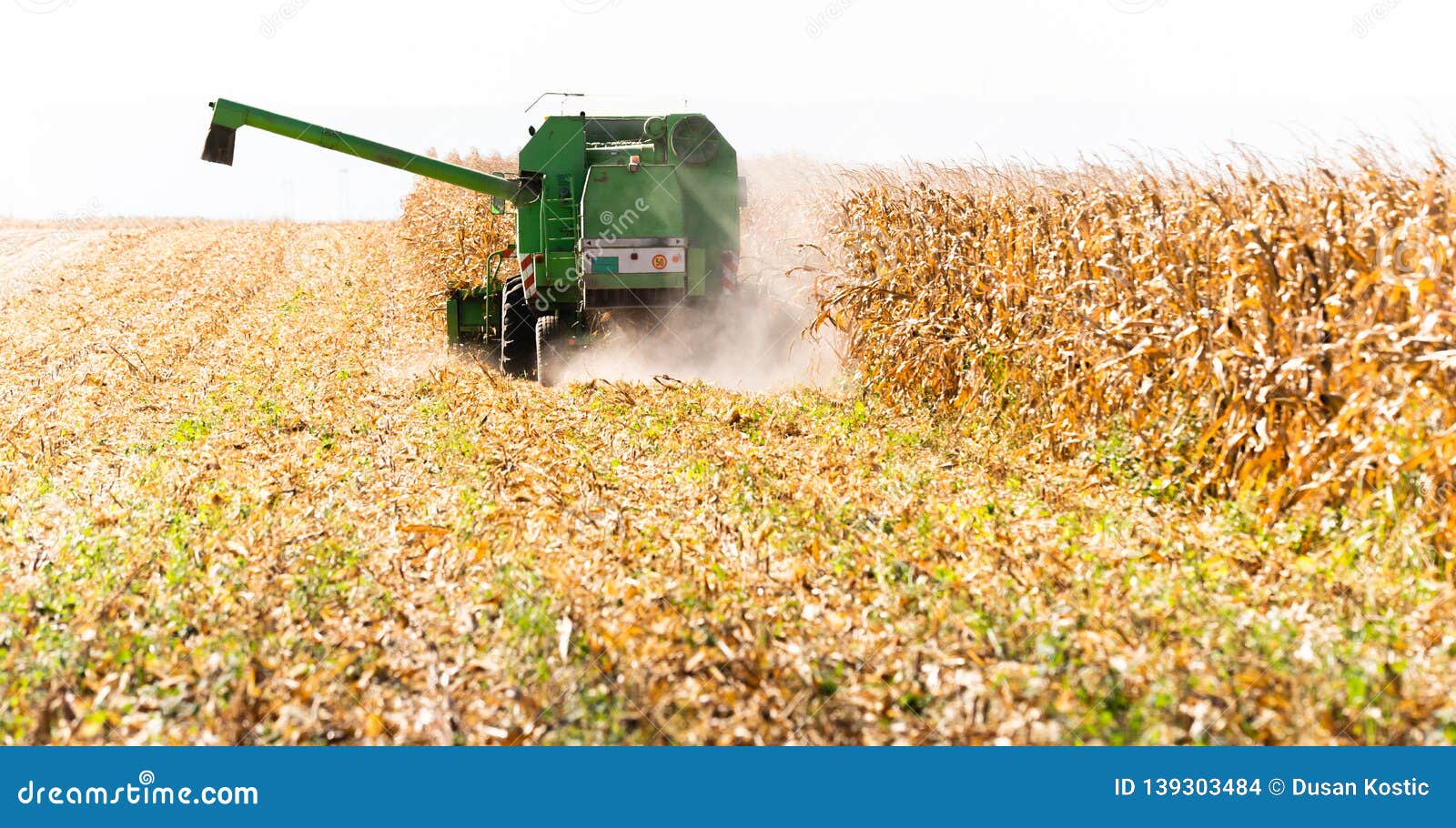 Harvesting of Corn Field with Combine Stock Photo - Image of harvest ...