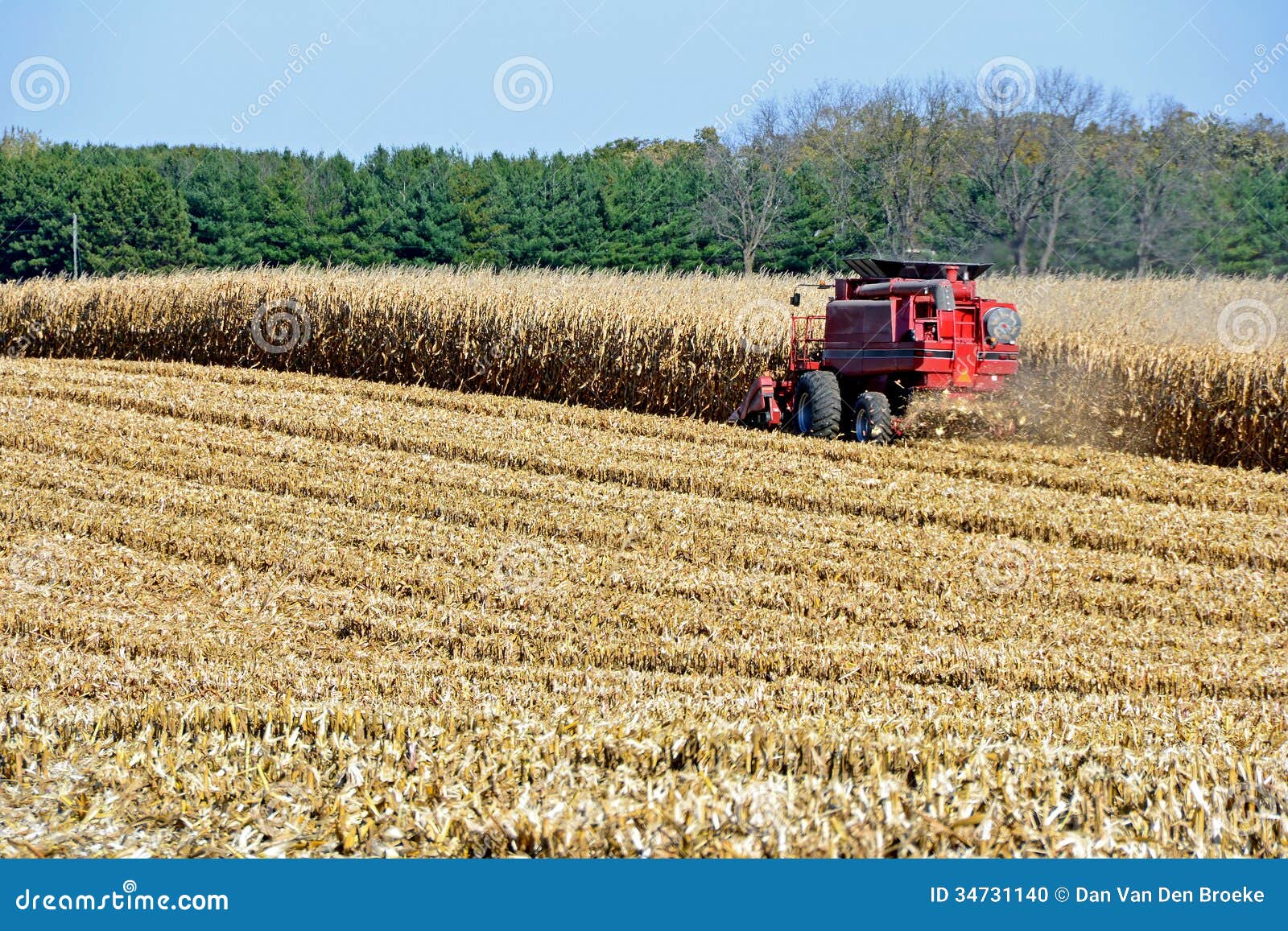 Fall Harvest Field