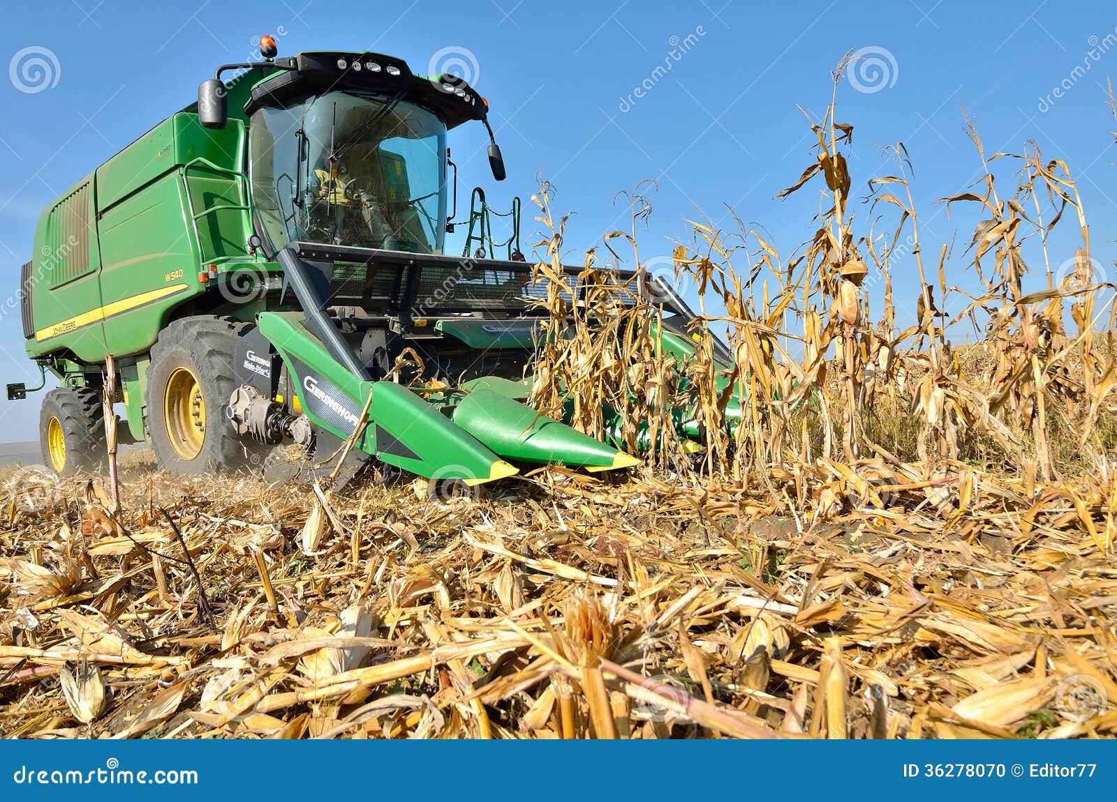 Harvesting the corn field editorial image. Image of agricultural - 36278070