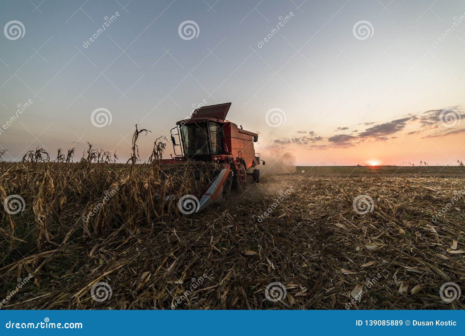 Harvesting of Corn Field with Combine Stock Image - Image of dirt ...