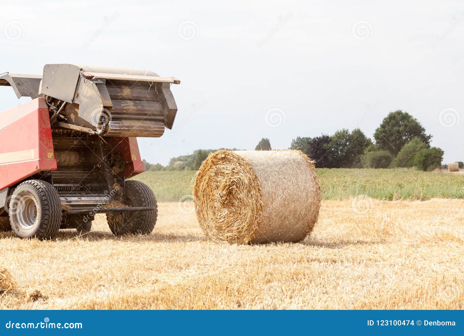 An hay bale stock photo. Image of harvest, nature, haystack - 123100474