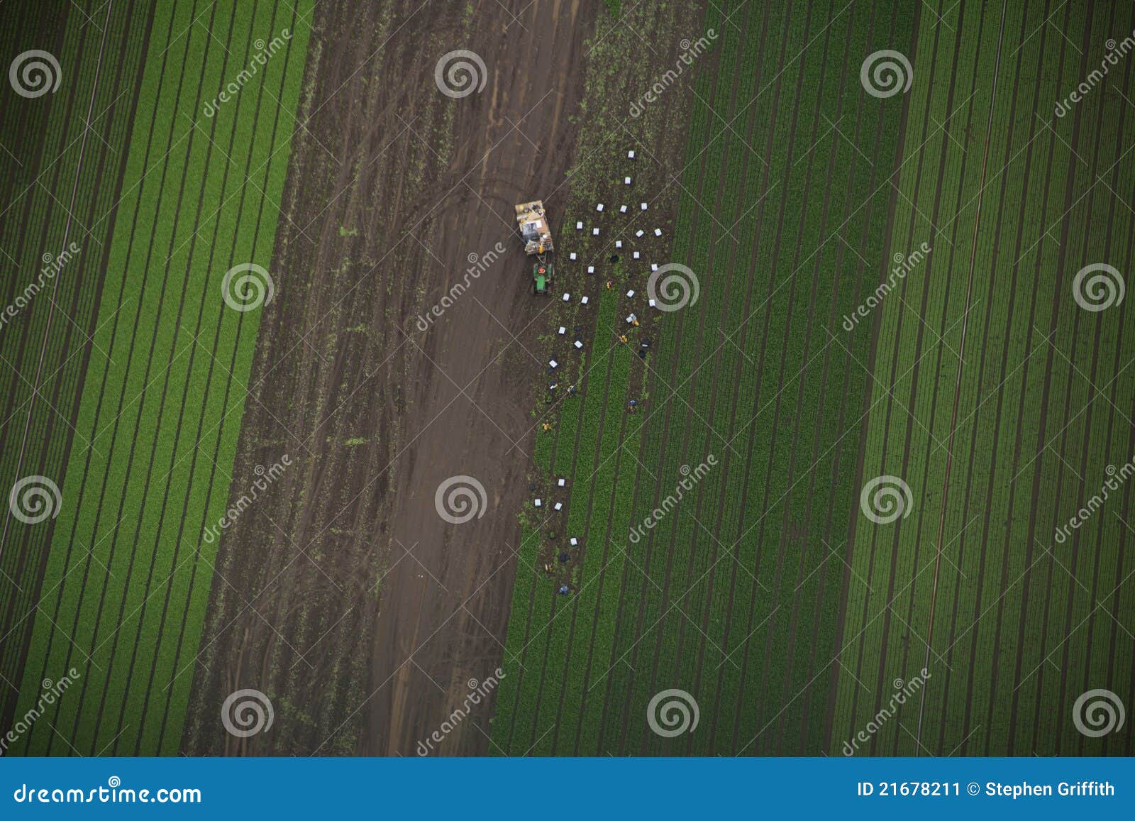 Harvesting Crops from Field Aerial Stock Image - Image of nature ...