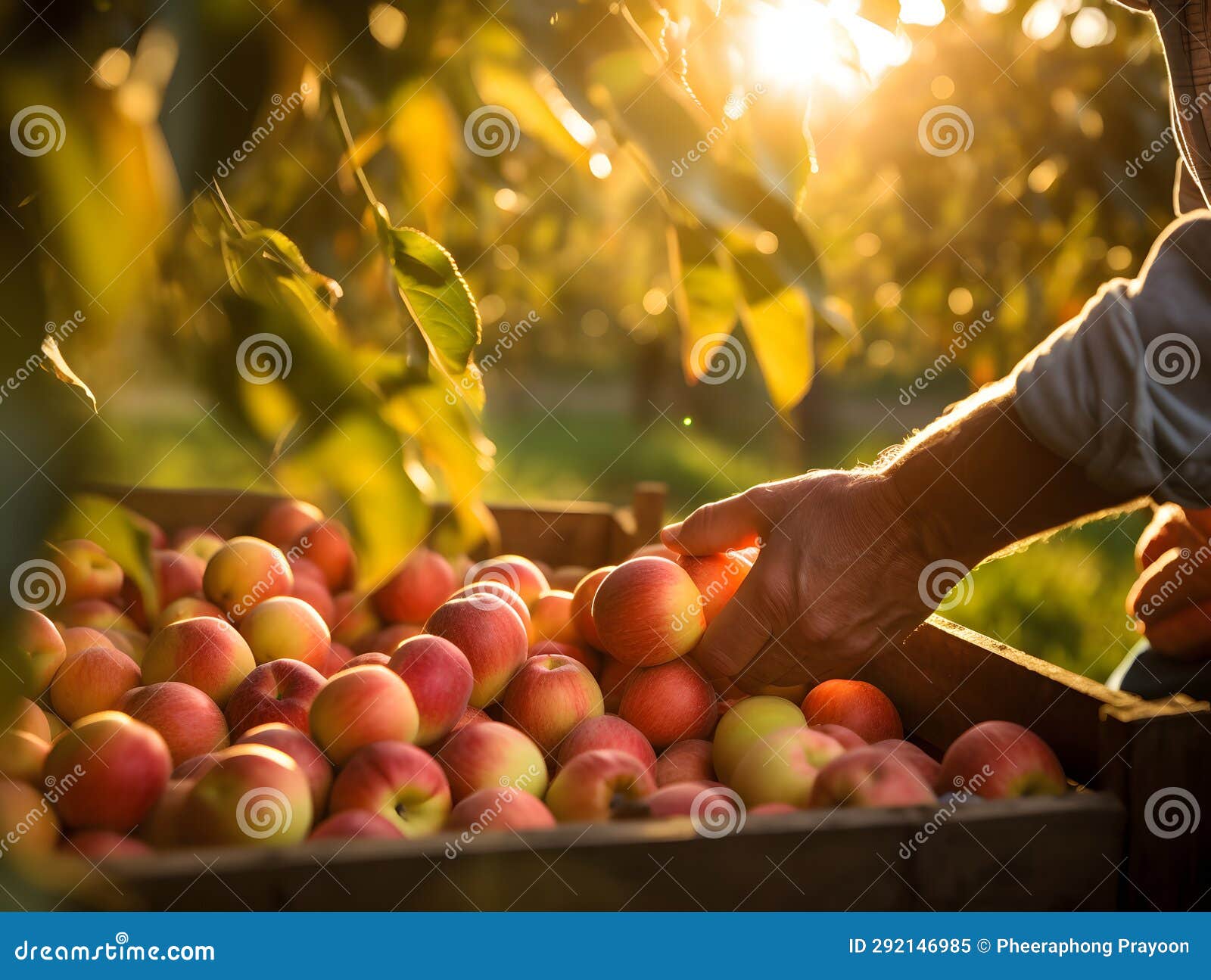Harvesting Crops, Generative AI, AI Generated Stock Illustration ...
