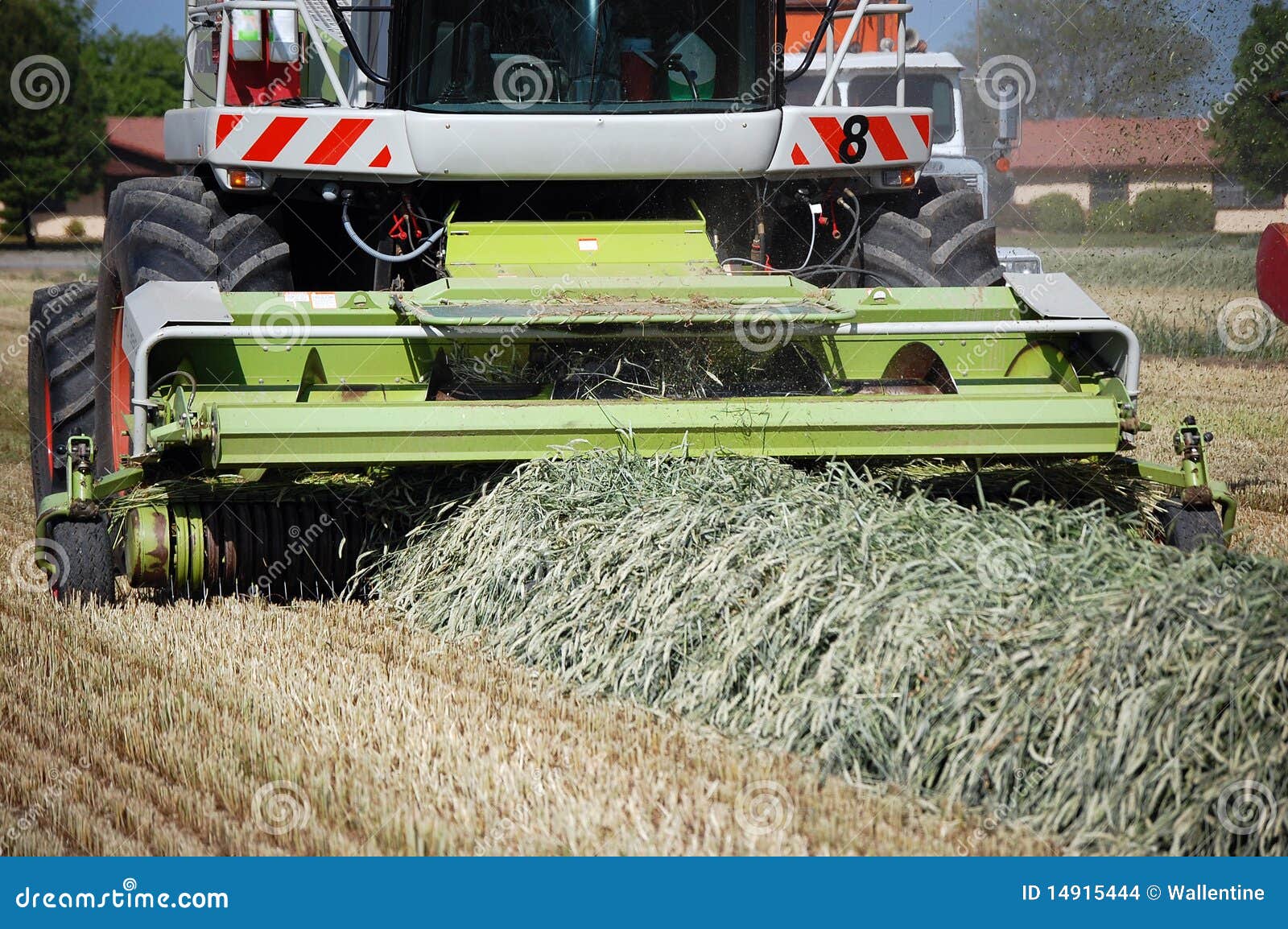 Harvesting Cut Hay Silage stock photo. Image of picking - 14915444
