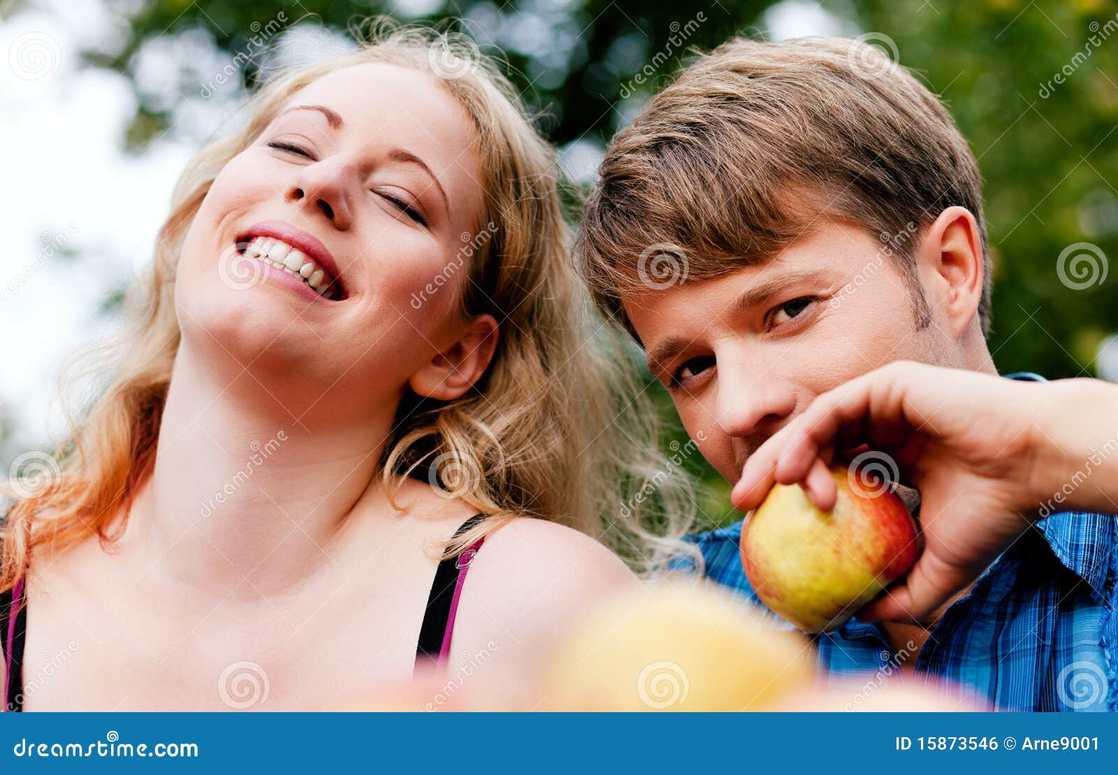 Harvesting - eating apples stock photo. Image of fresh - 15873546