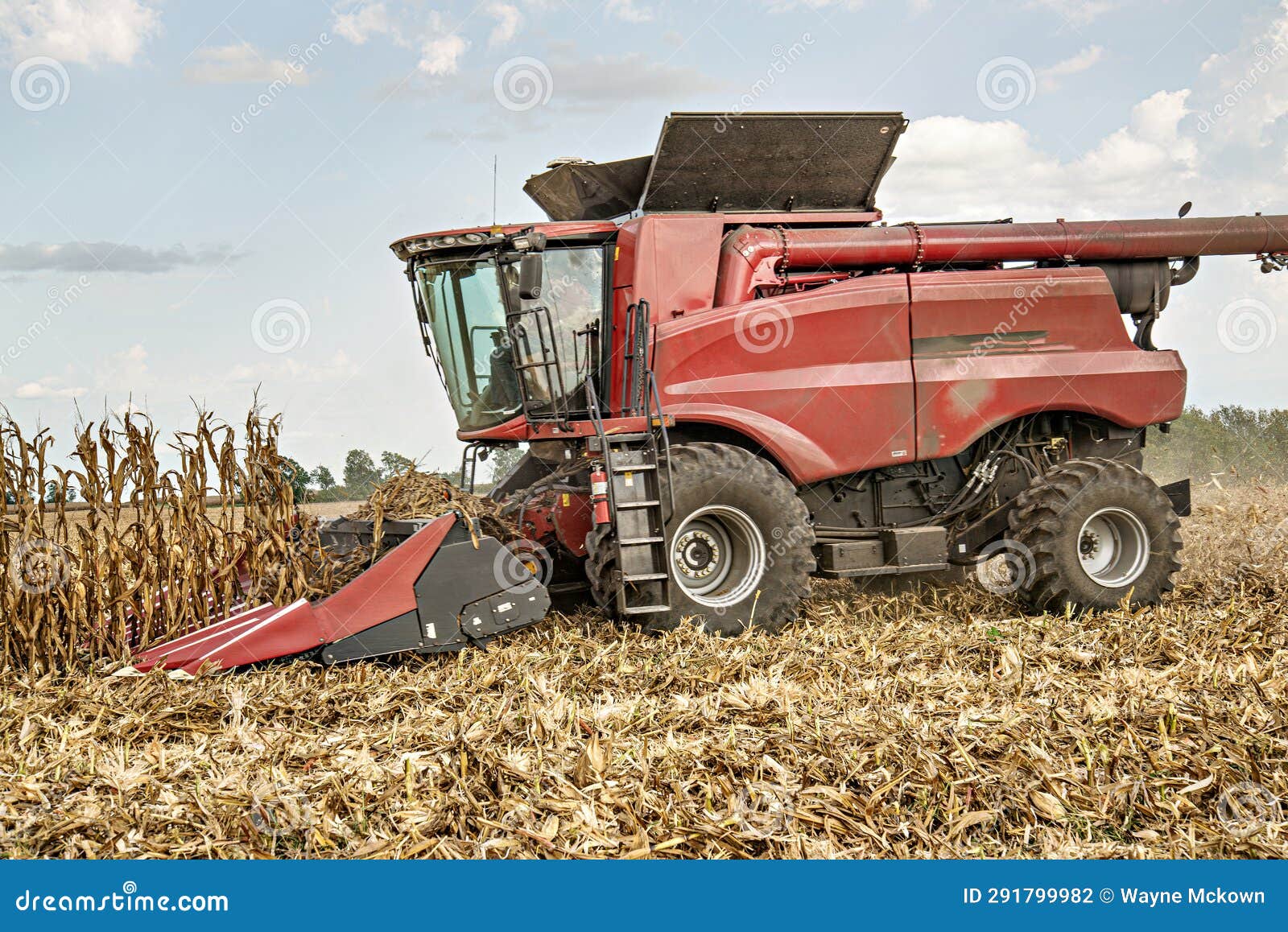 Harvesting field corn editorial photography. Image of landscape - 291799982