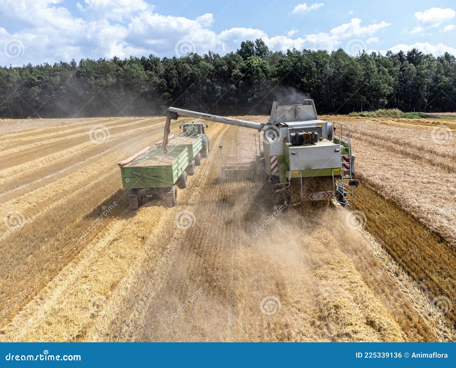 Harvesting a Grain Field with a Combine Harvester and Tractor Stock ...