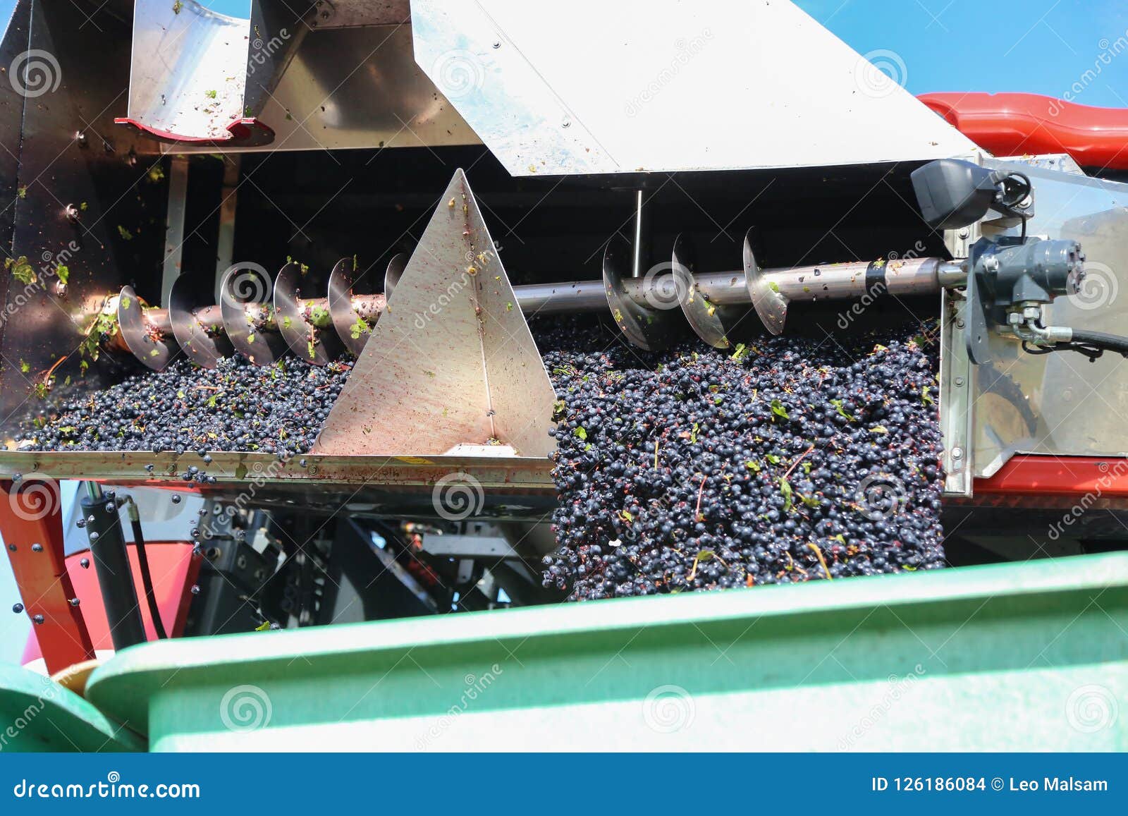 Harvesting Grapes by a Combine Harvester Stock Photo - Image of combine ...