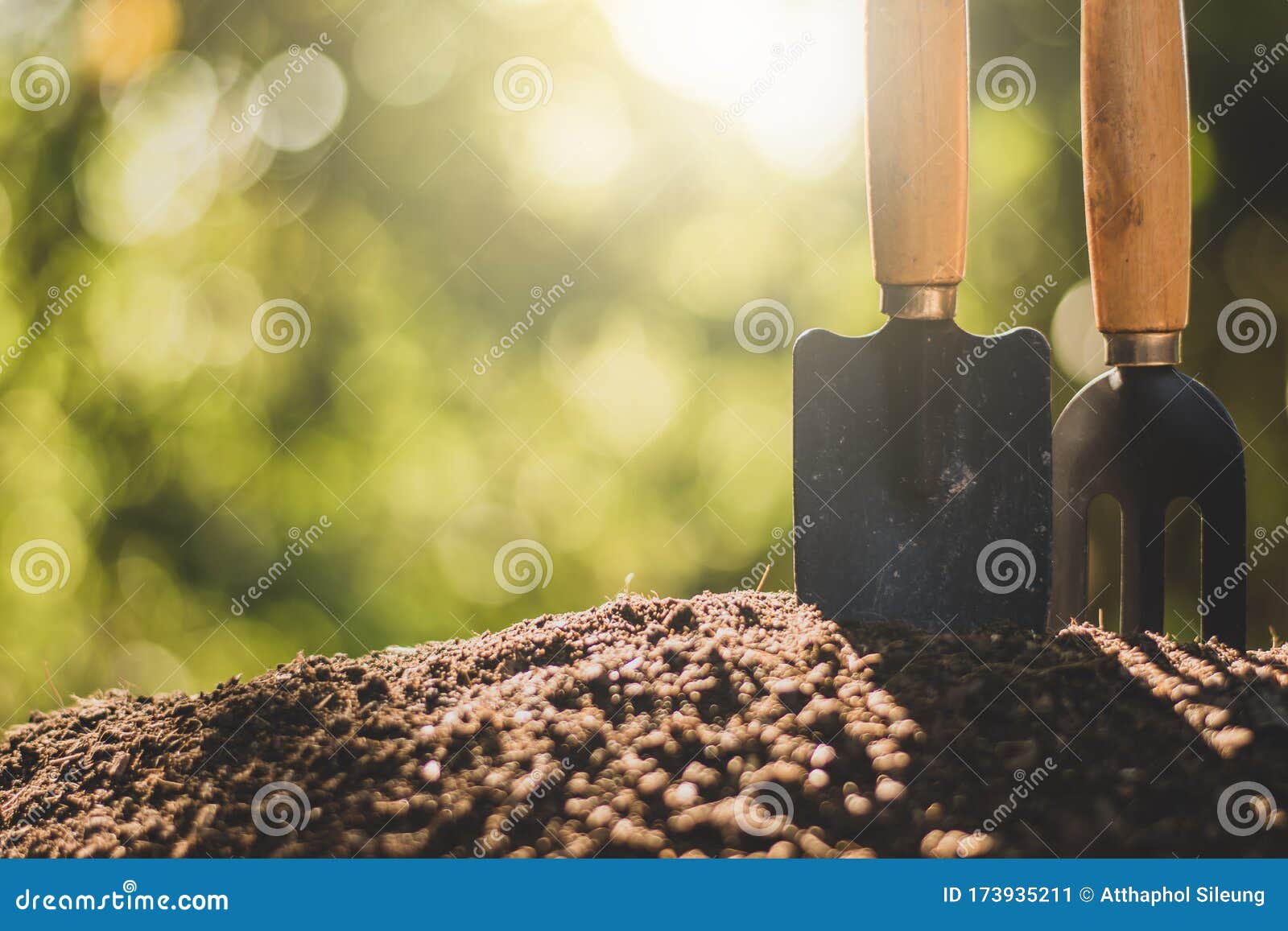Harvesting is on the Ground and Morning Sunshine is Shining Stock Image ...