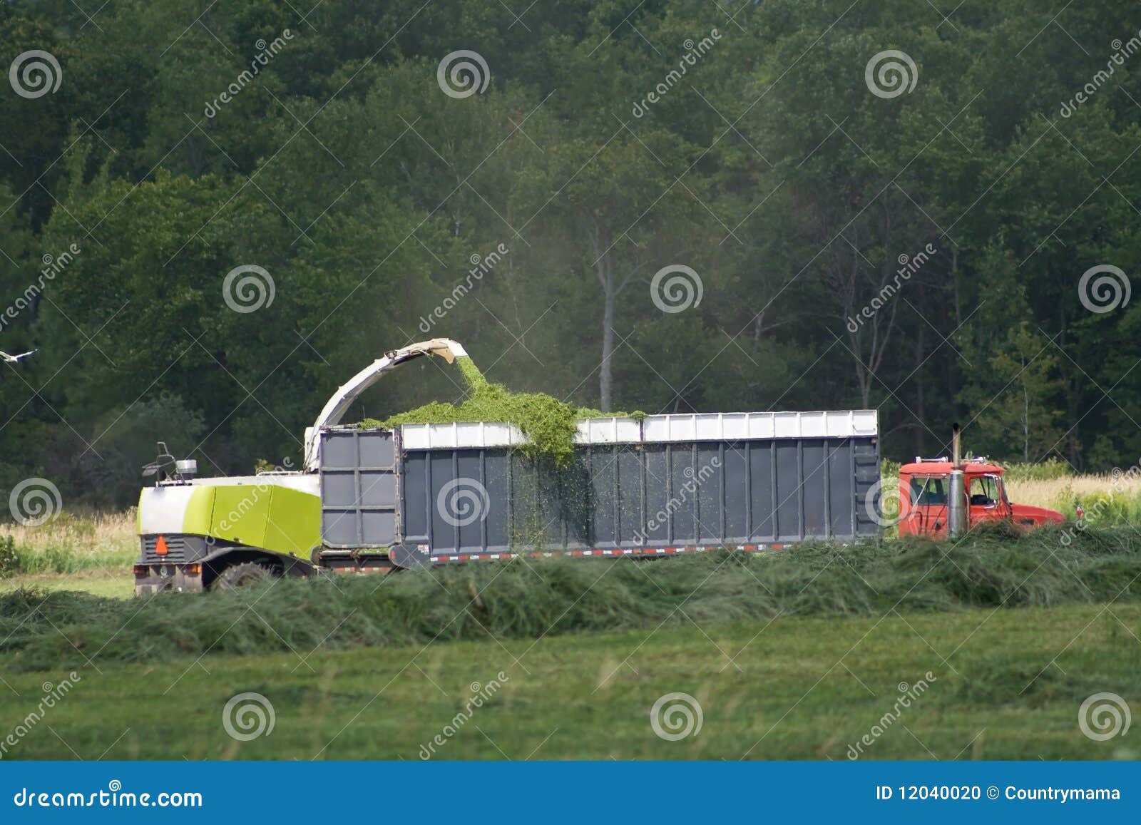 Harvesting hay stock photo. Image of mounded, machinery - 12040020
