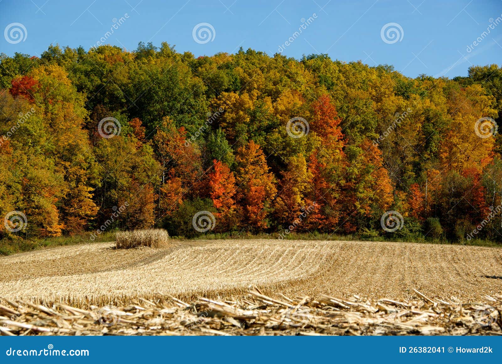 Harvesting hay in the fall stock image. Image of fall - 26382041