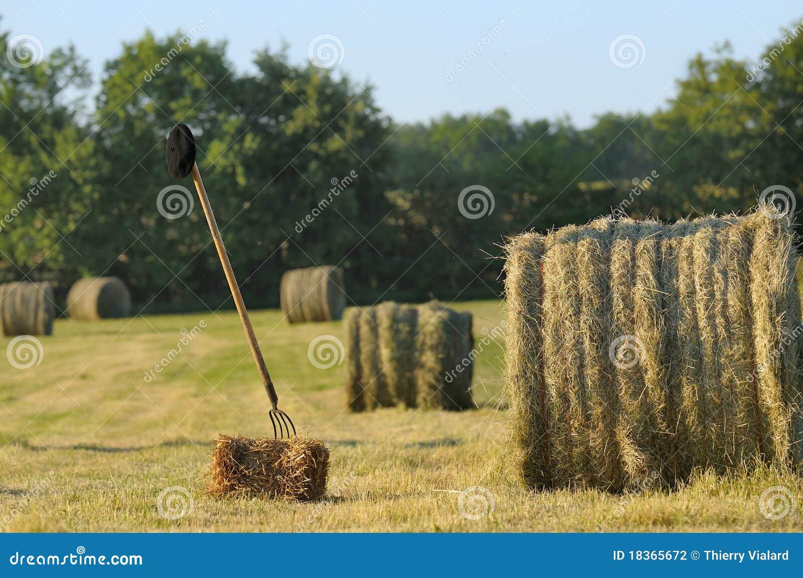 Harvesting hay two stock photo. Image of bales, countryside - 18365672