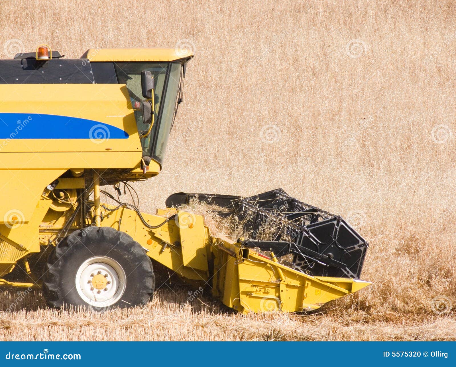 Harvesting machine stock photo. Image of golden, green - 5575320