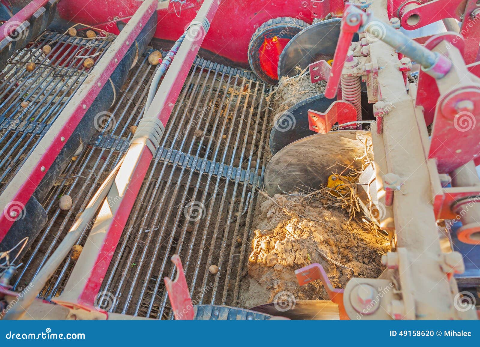 Harvesting of Potato the Working Element Stock Photo - Image of ...