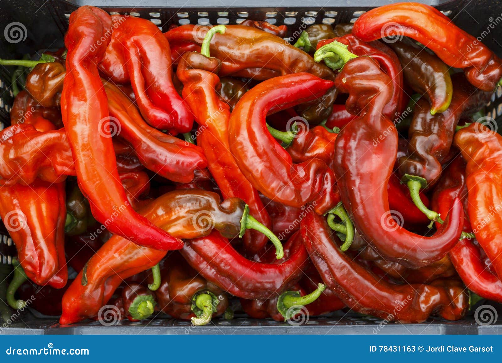 Harvesting Red Peppers in a Box Stock Image - Image of group, heap ...