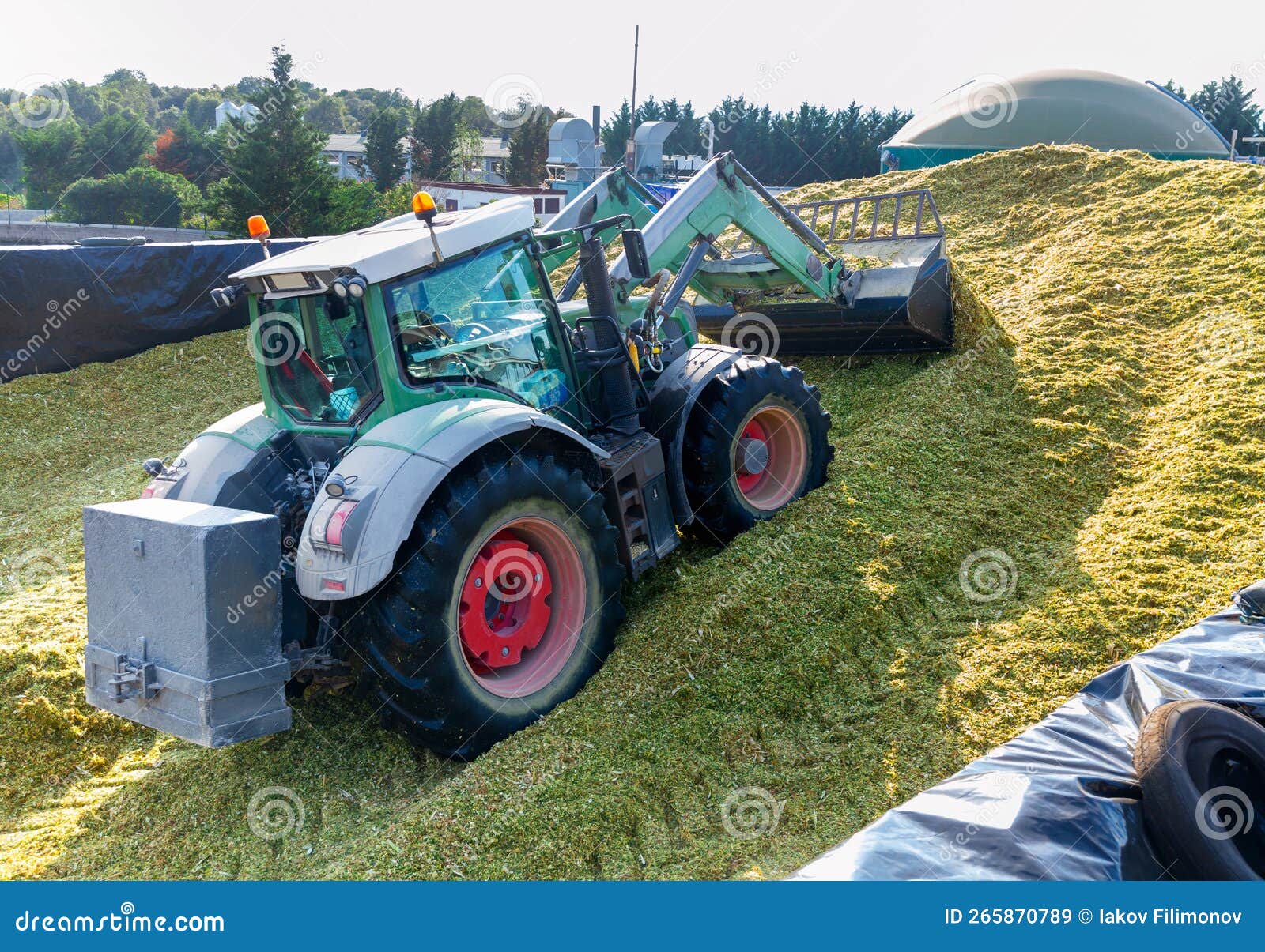 Harvesting of silage stock image. Image of preparation - 265870789