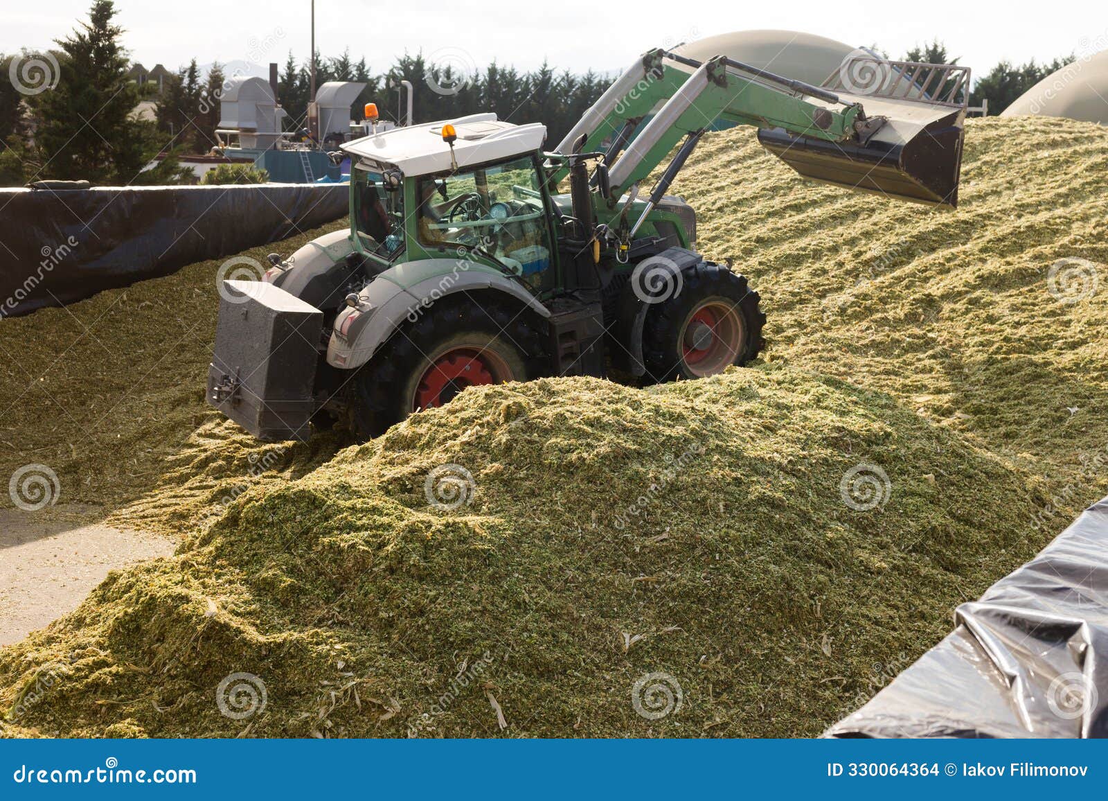 Harvesting of silage stock photo. Image of nature, green - 330064364