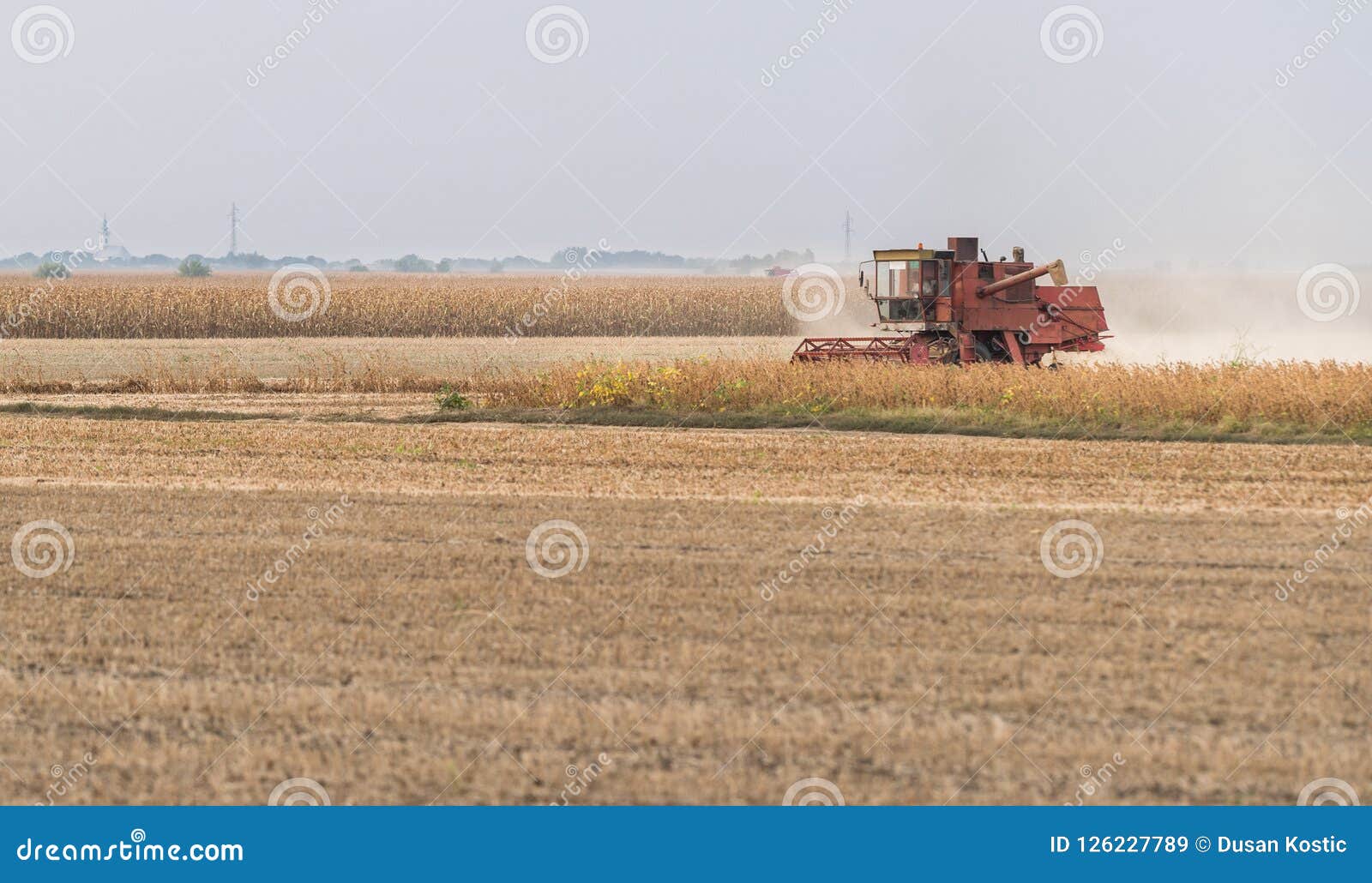 Harvesting of Soy Bean Field with Combine Stock Image - Image of ...