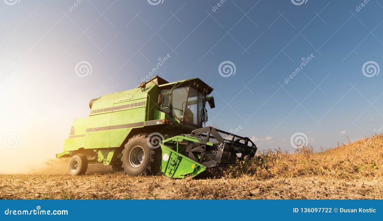 Harvesting of Soy Bean Field with Combine Stock Photo - Image of ...