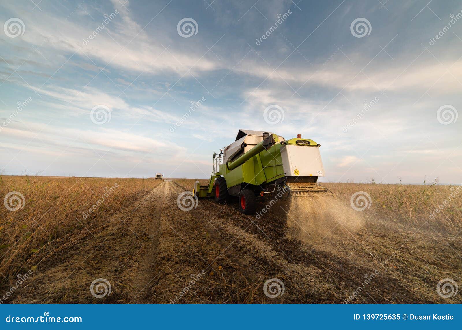 Harvesting of Soy Bean Field with Combine Editorial Image - Image of ...
