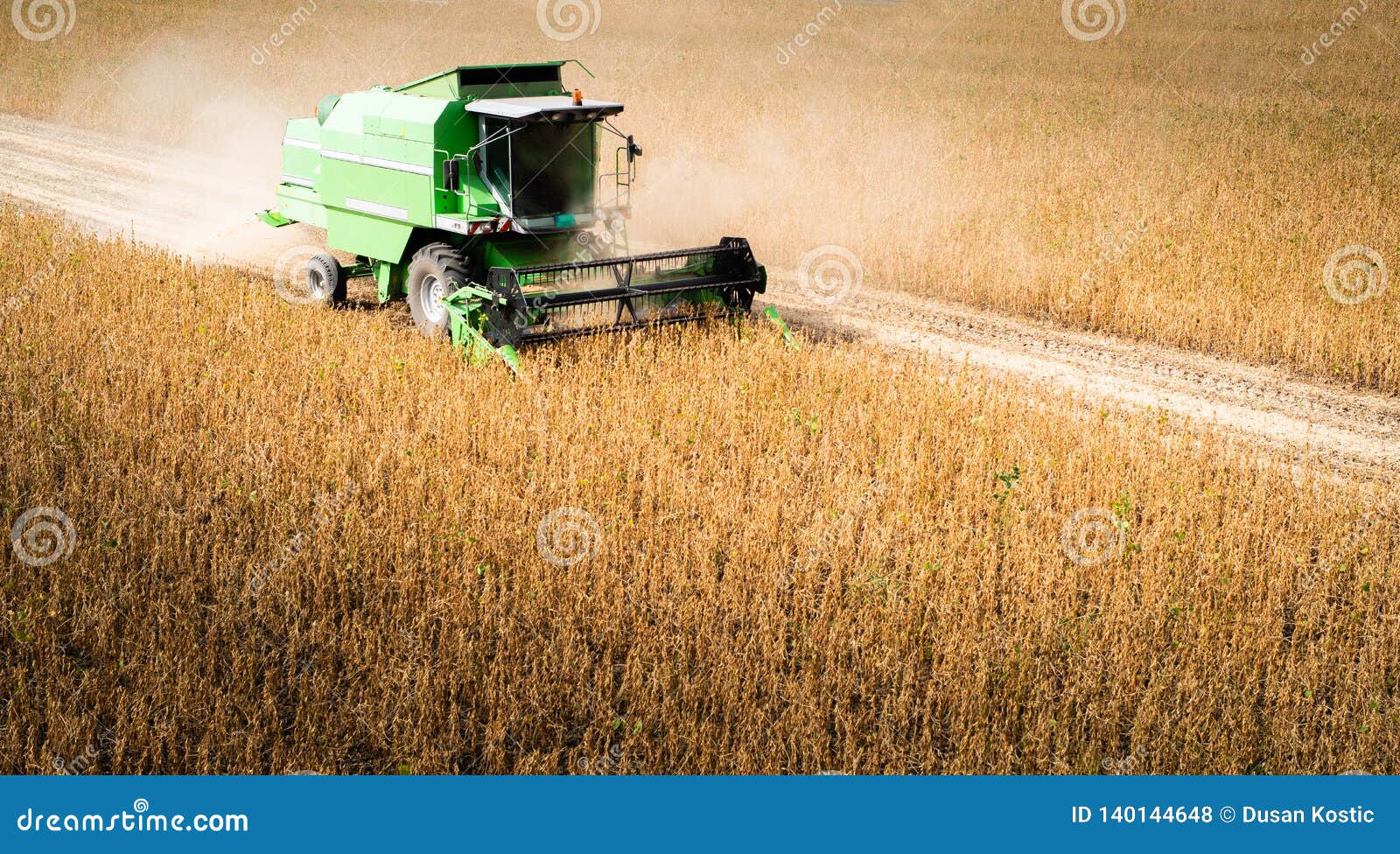 Harvesting of Soy Bean Field with Combine Stock Photo - Image of golden ...