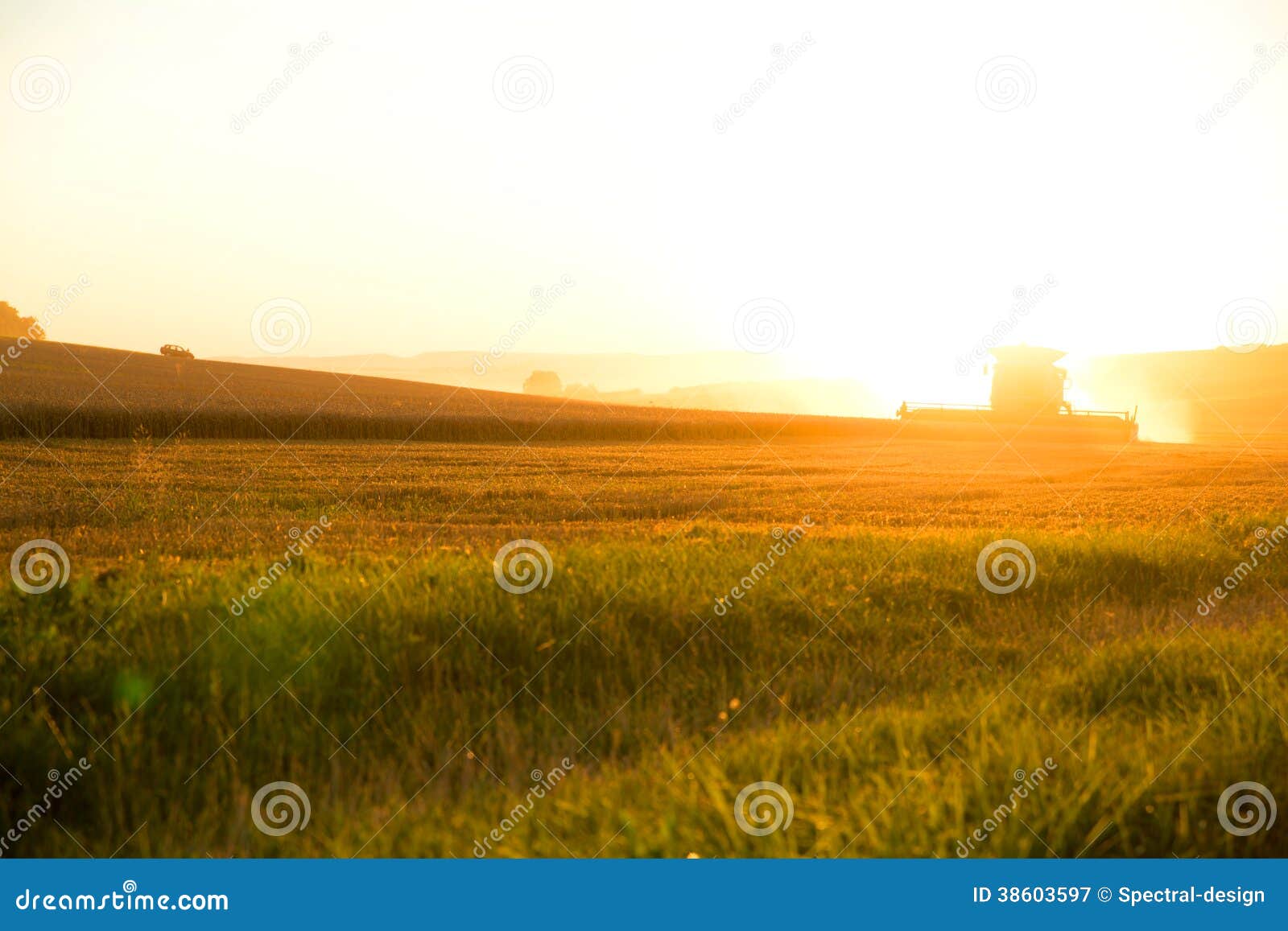 Harvesting in the sunset stock image. Image of harvesting - 38603597
